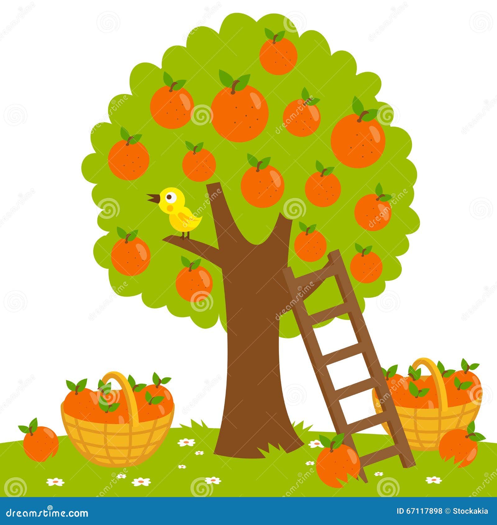 Orange Tree Bunch Vector Illustration Isolated On White Background ...