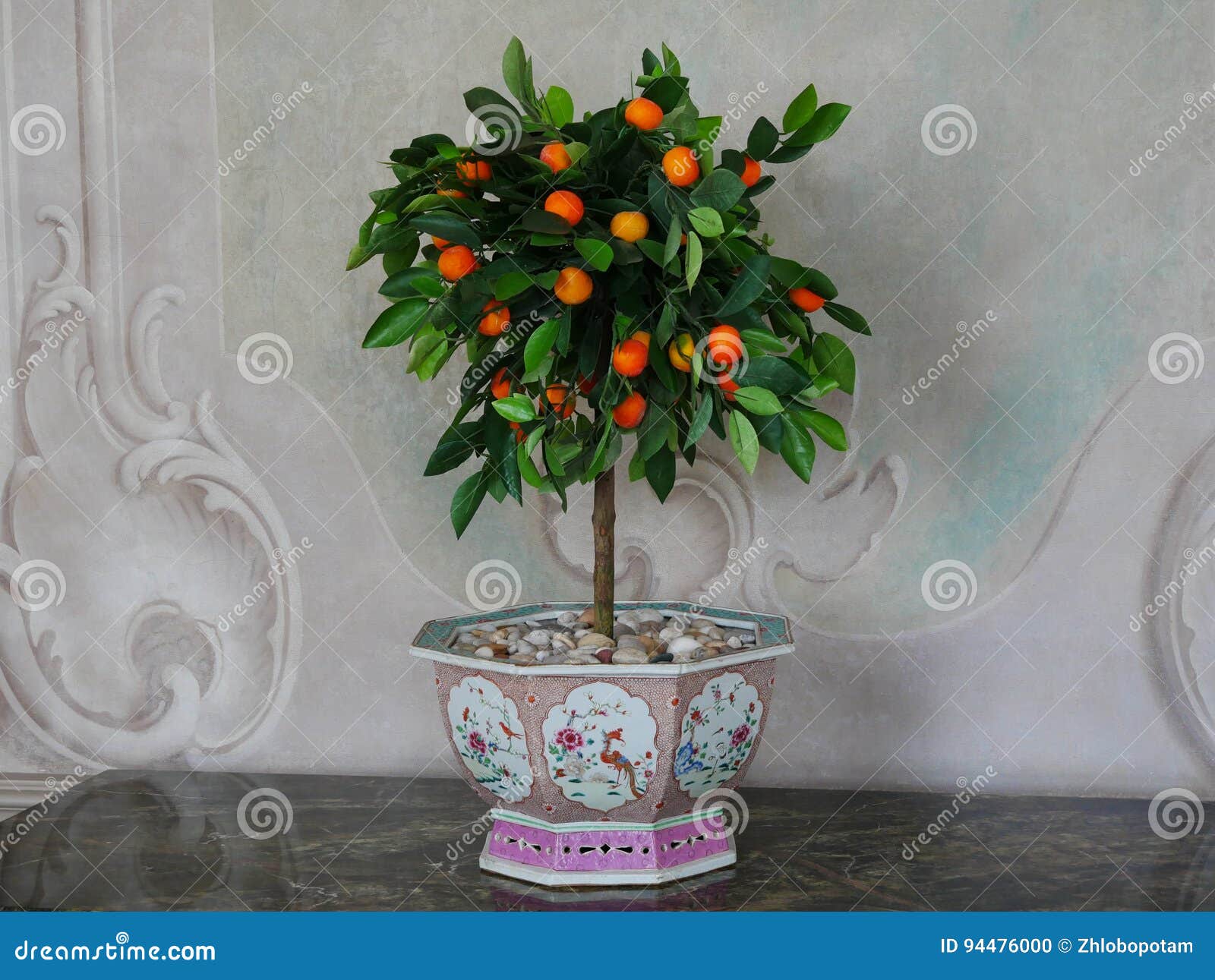 Orange tree in a pot stock photo. Image of tree, plant - 94476000