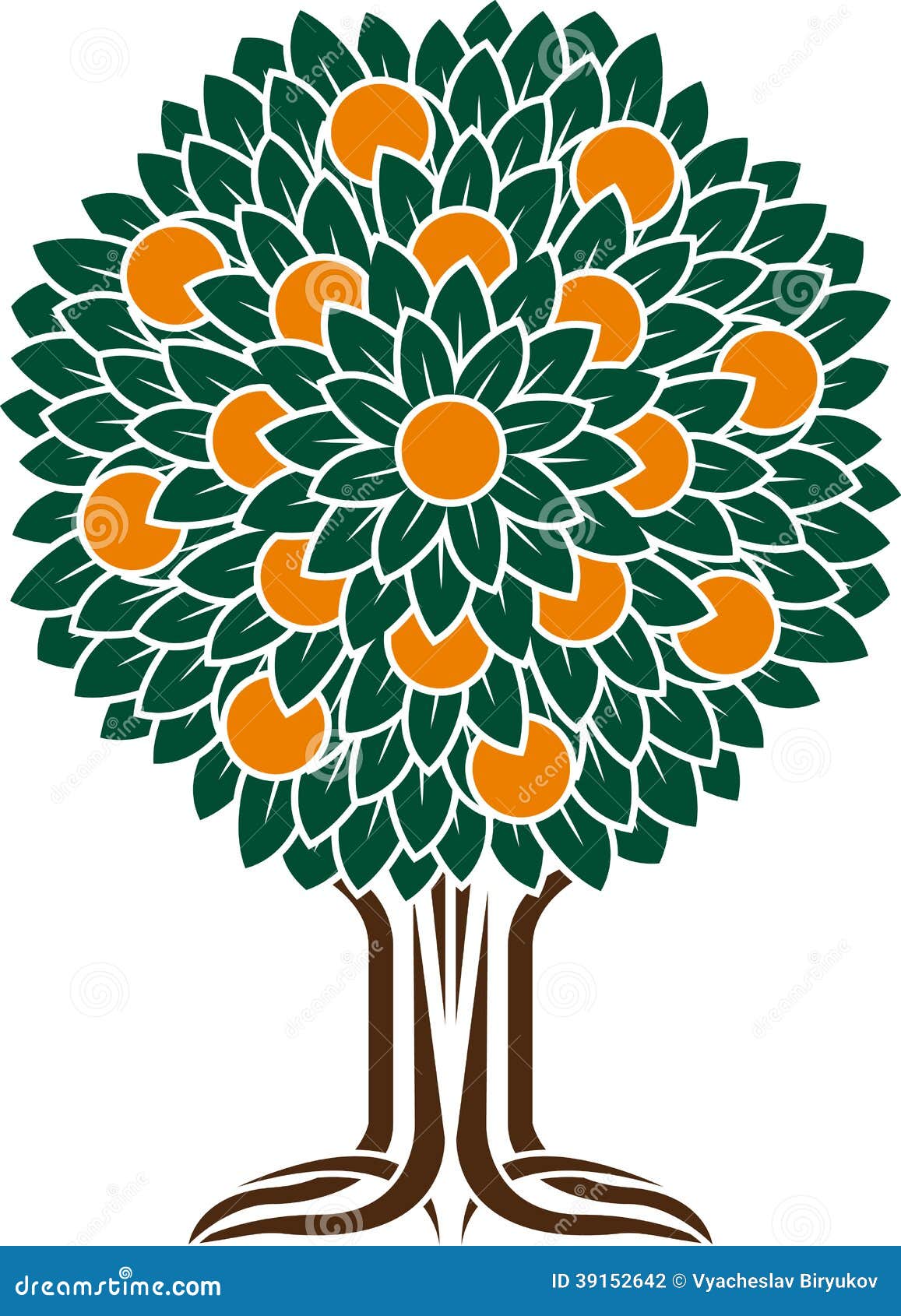Orange Tree Illustration