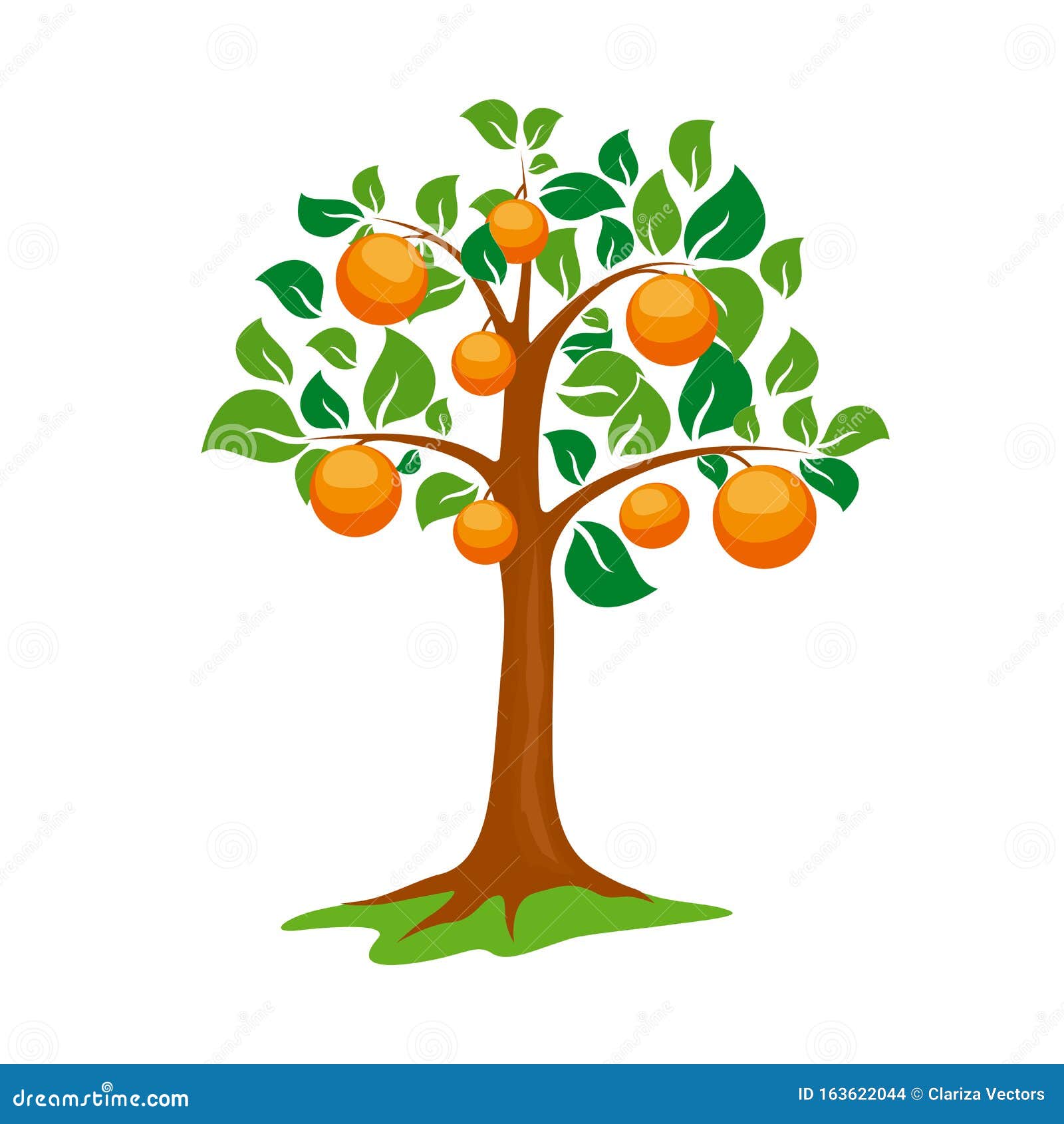 Orange Tree Vector Illustration Stock Vector - Illustration of harvest ...