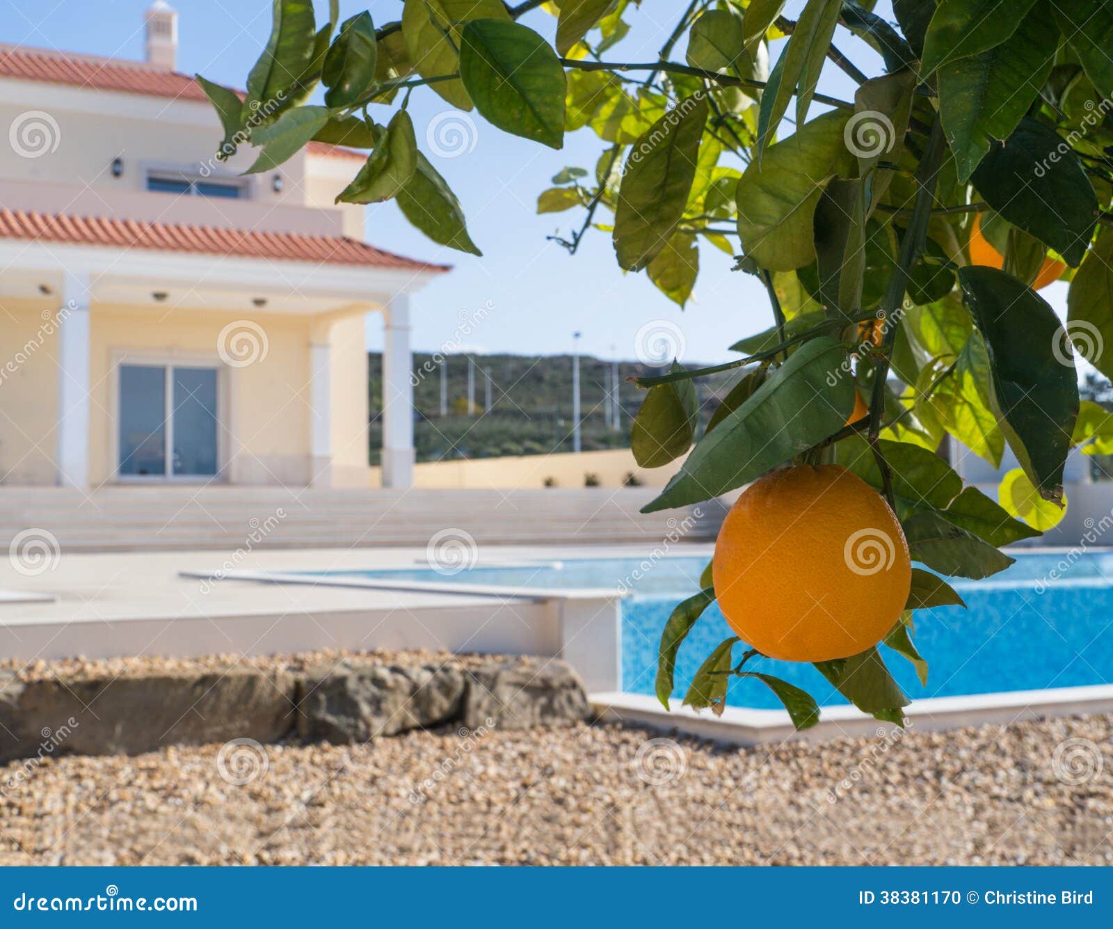 Orange tree and Villa stock photo. Image of vacation - 38381170
