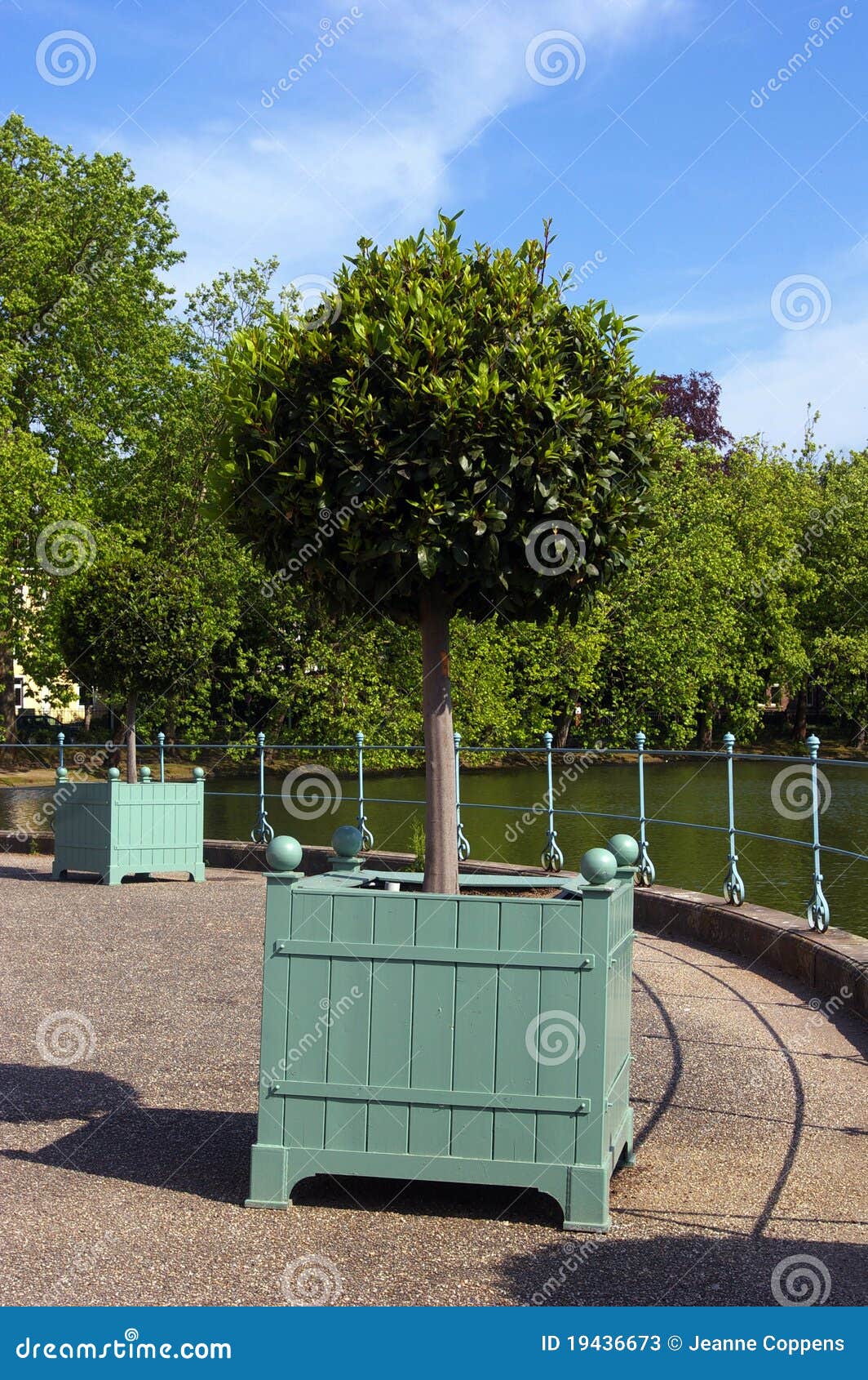 Orange Tree in Wooden Container Stock Image - Image of plantation ...