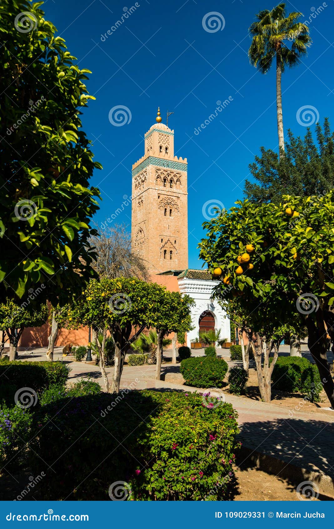 Orange Trees in Koutoubia Mosque Gardens,Morocco. Editorial Photo ...
