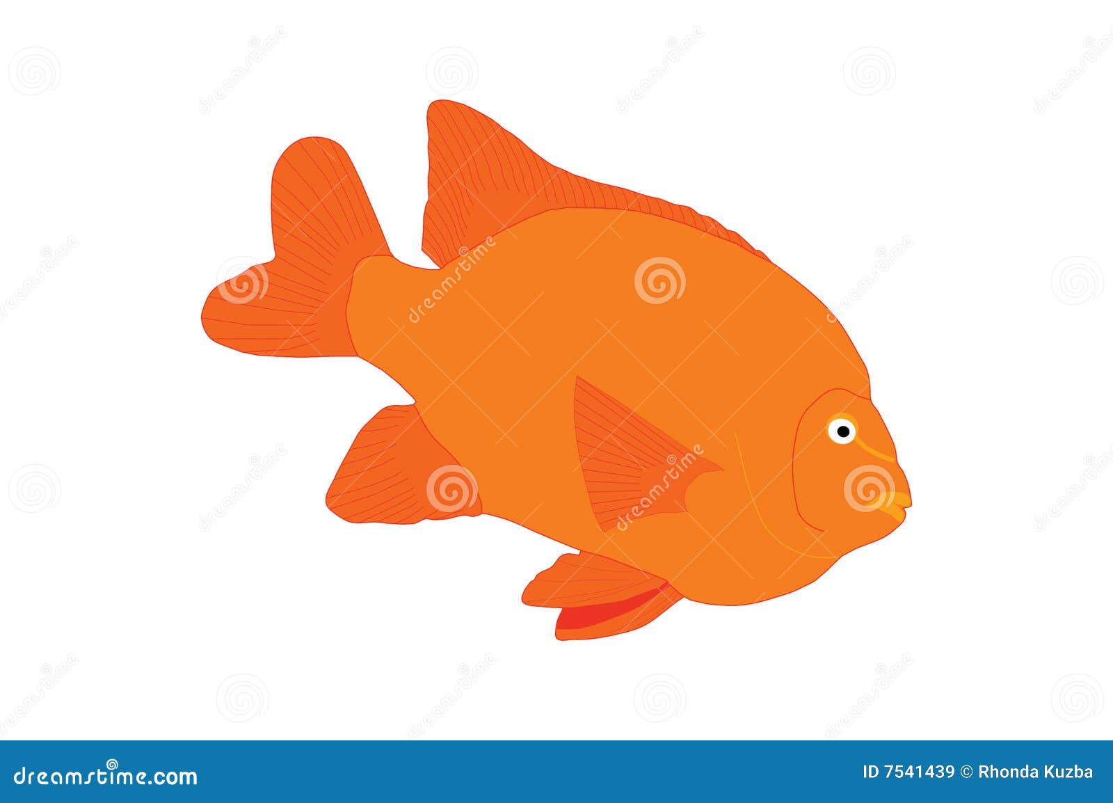 Orange Tropical Fish stock vector. Illustration of aquarium - 7541439