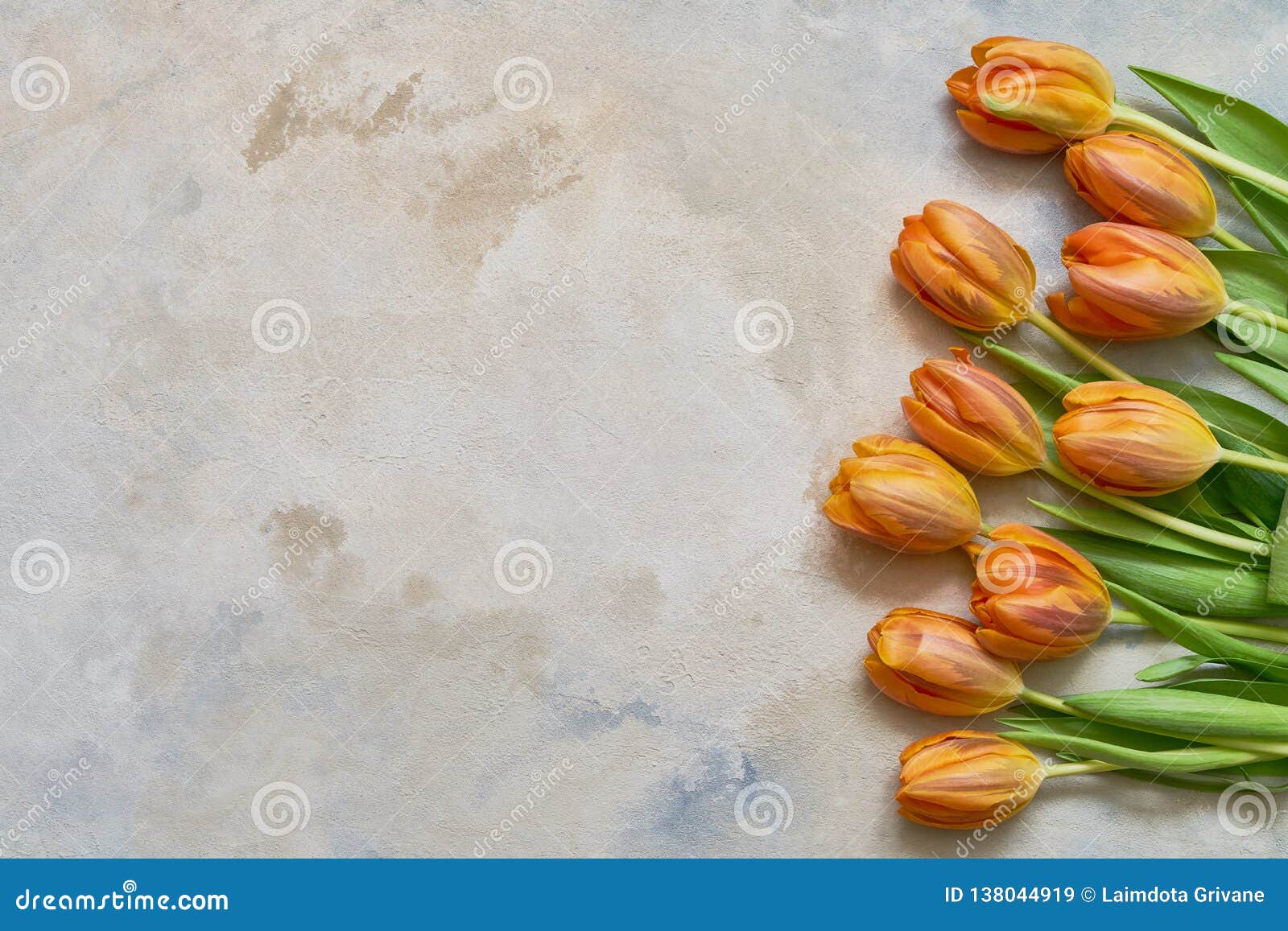 Orange Tulpen Auf Buntem Aquarellhintergrund Kopieren Sie Raum ... Orange Tulpen Auf Buntem Aquarellhintergrund Kopieren Sie Raum ...