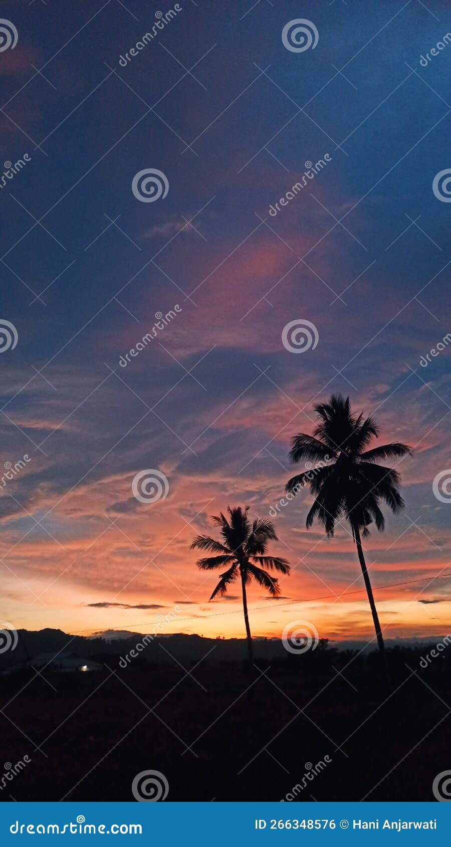 Orange twilight stock photo. Image of twilight, trees - 266348576