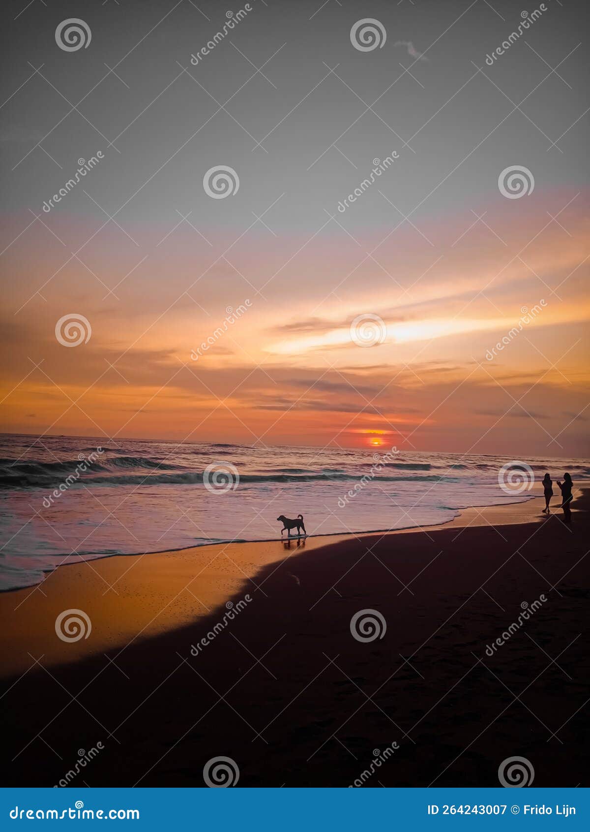 Orange Twilight and a Tiny Dog. What a Beautiful Creation of God Stock ...