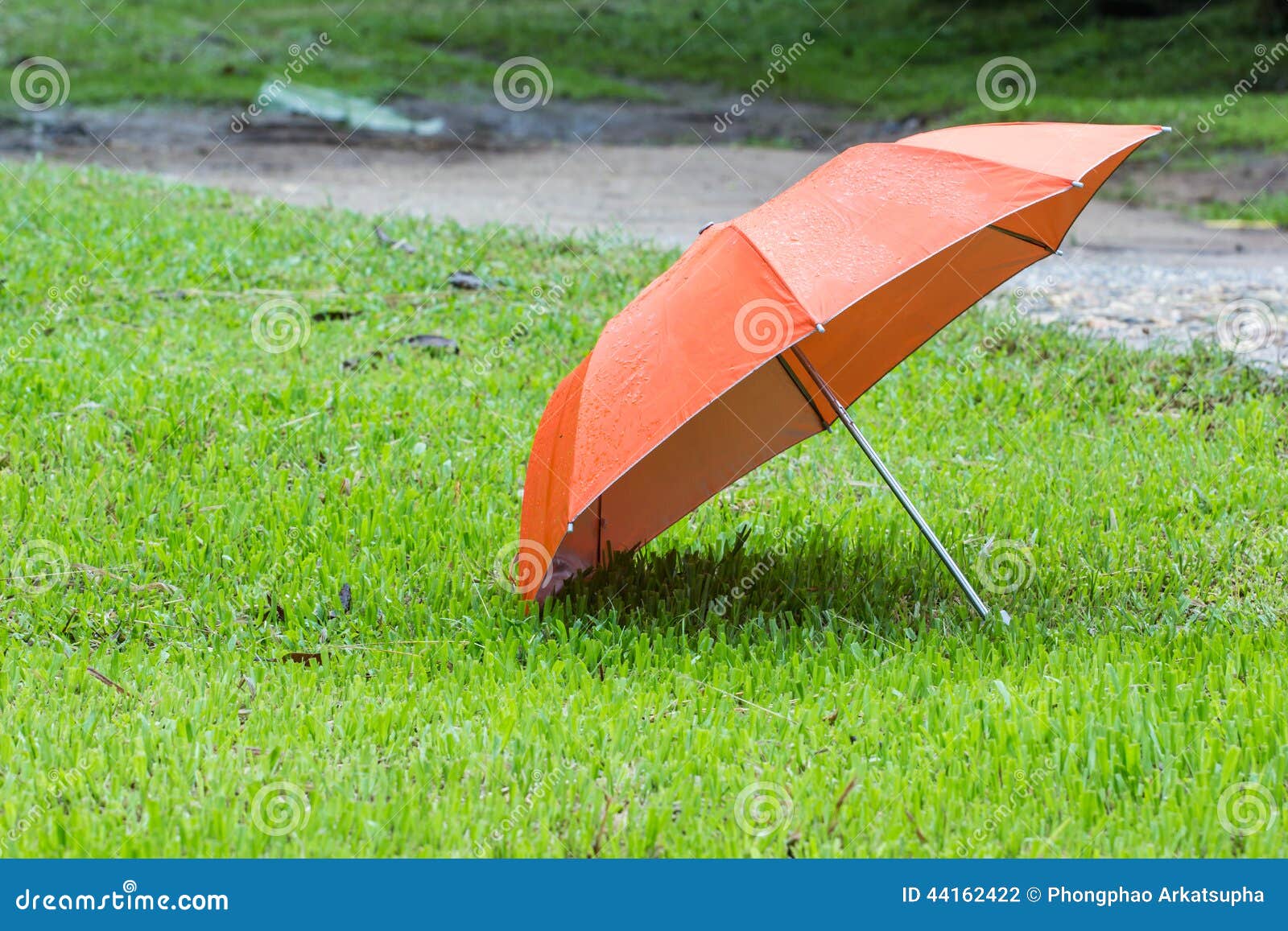 Orange umbrellas stock photo. Image of jump, protection - 44162422