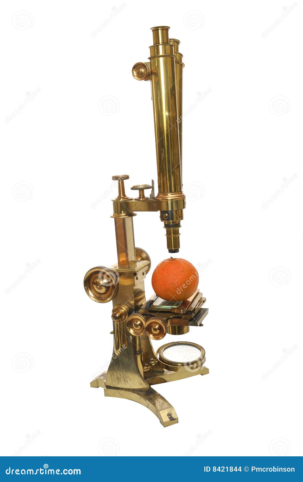 Orange under microscope stock photo. Image of brass, adjustable - 8421844