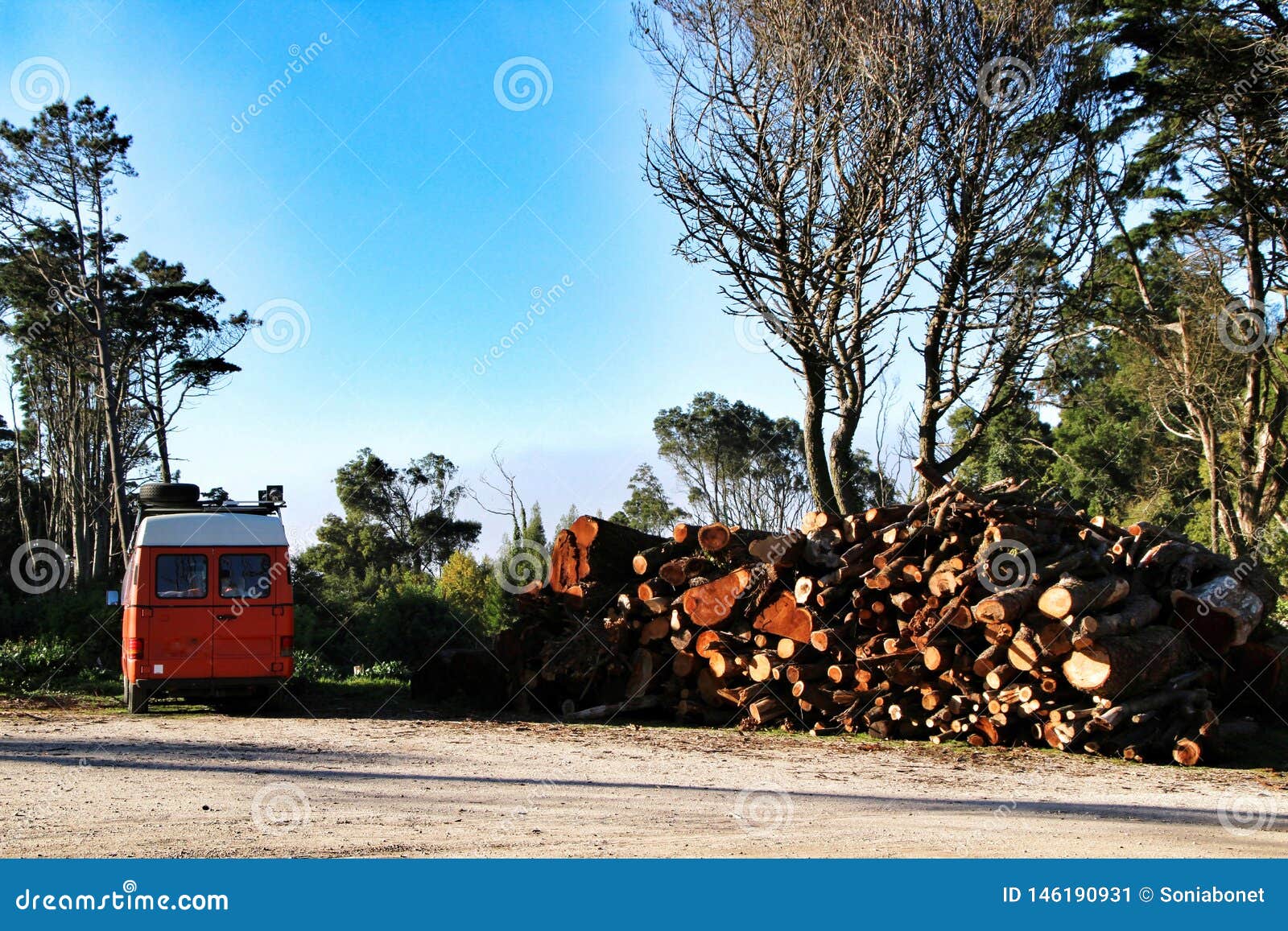 Orange Van Parked Next To Cut Firewood in a Forest Stock Image - Image ...