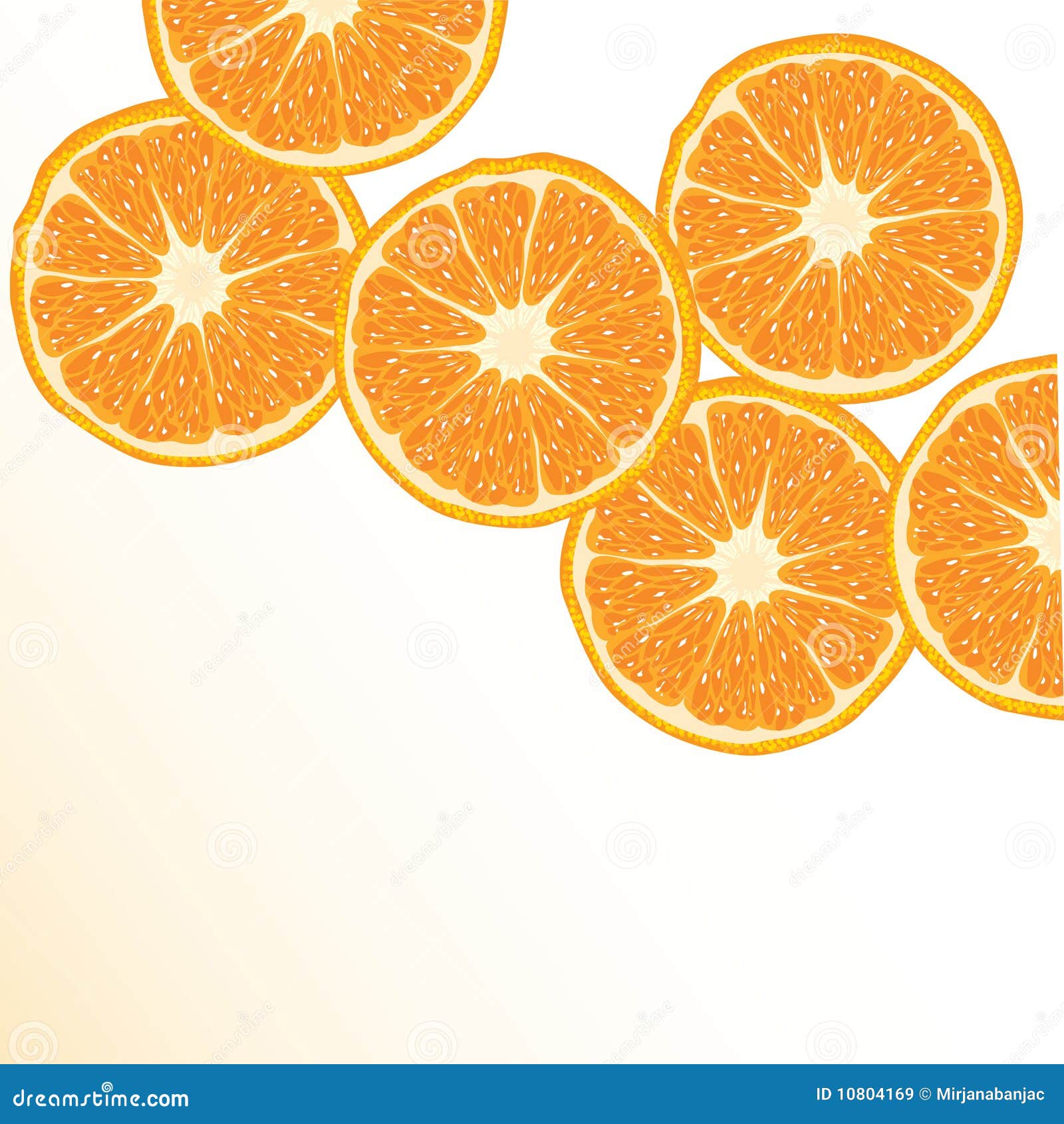 Orange vector stock vector. Illustration of nature, drop - 10804169