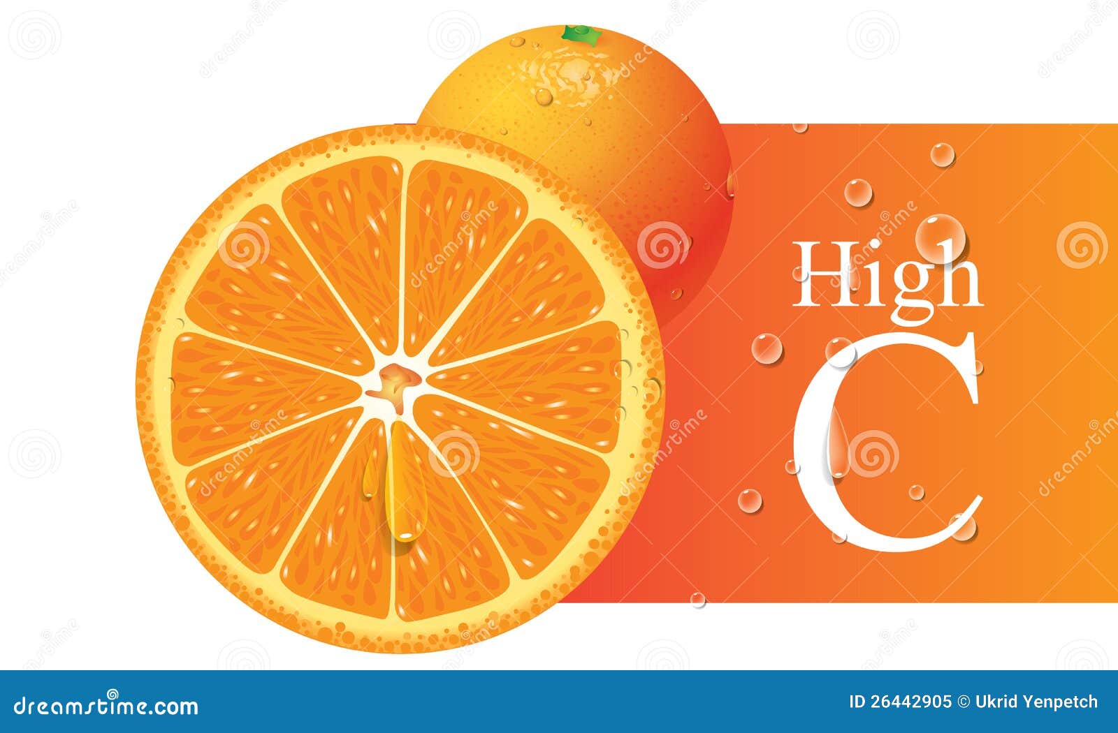 Orange vector stock vector. Illustration of ripe, tropical - 26442905
