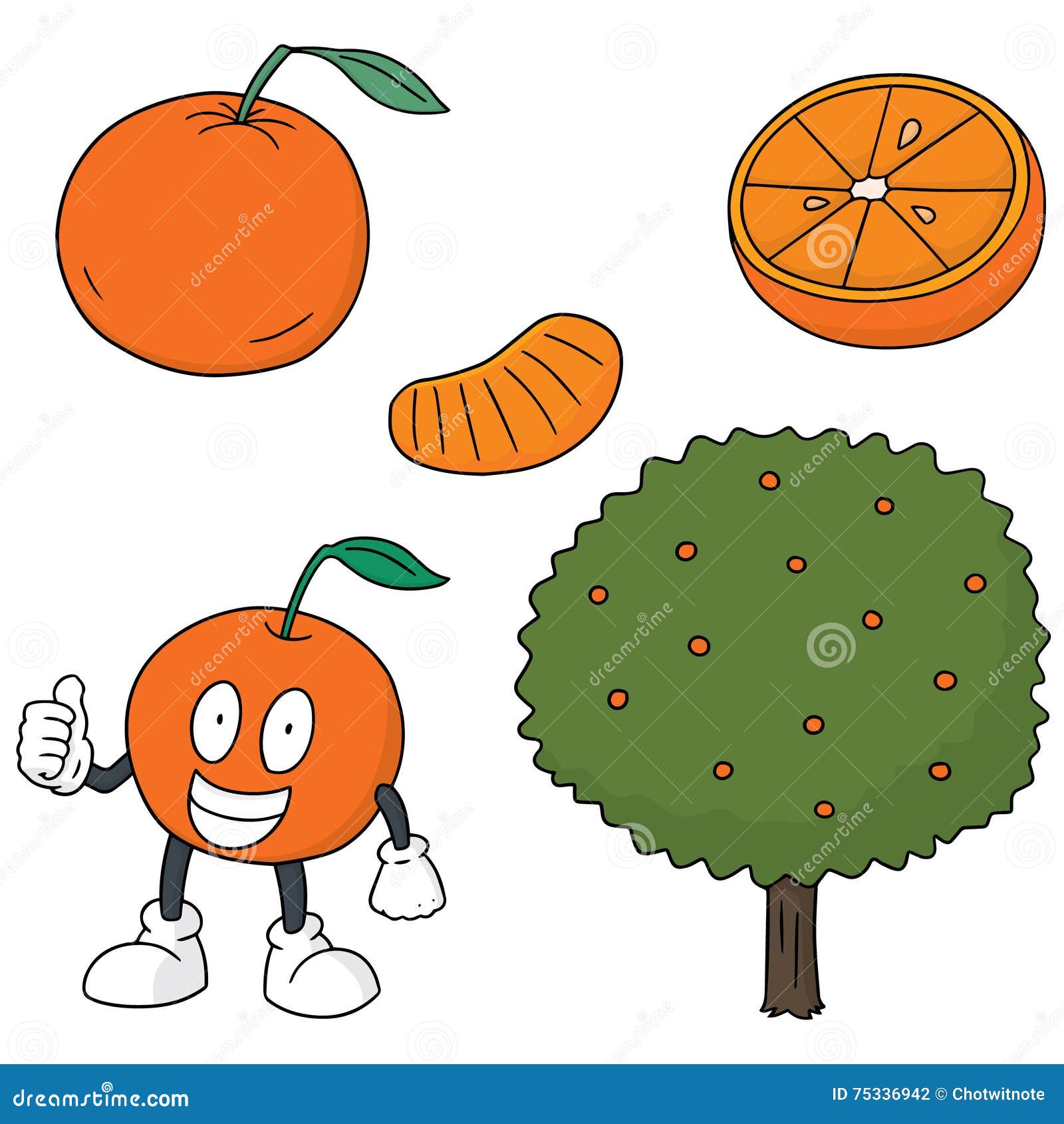 Orange stock vector. Illustration of clip, nature, drawing - 75336942