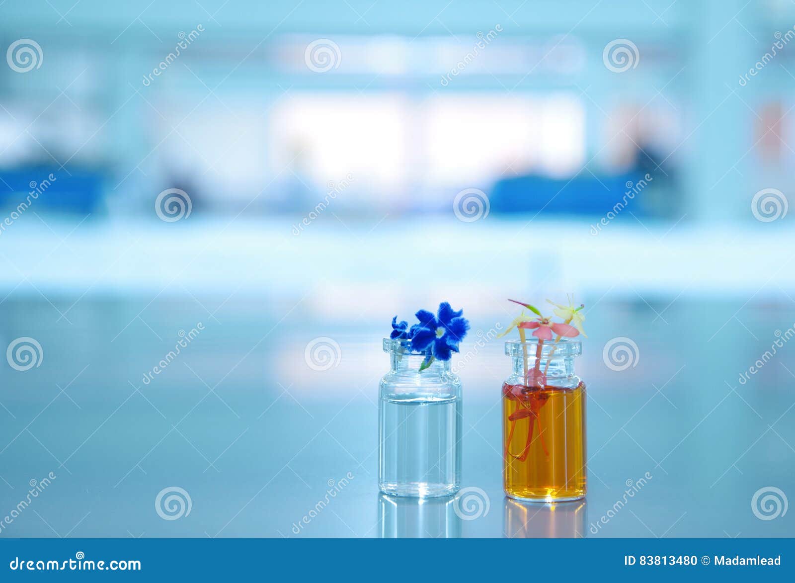 Orange Violet Flower and Vial with Science Laboratory Background Stock ...