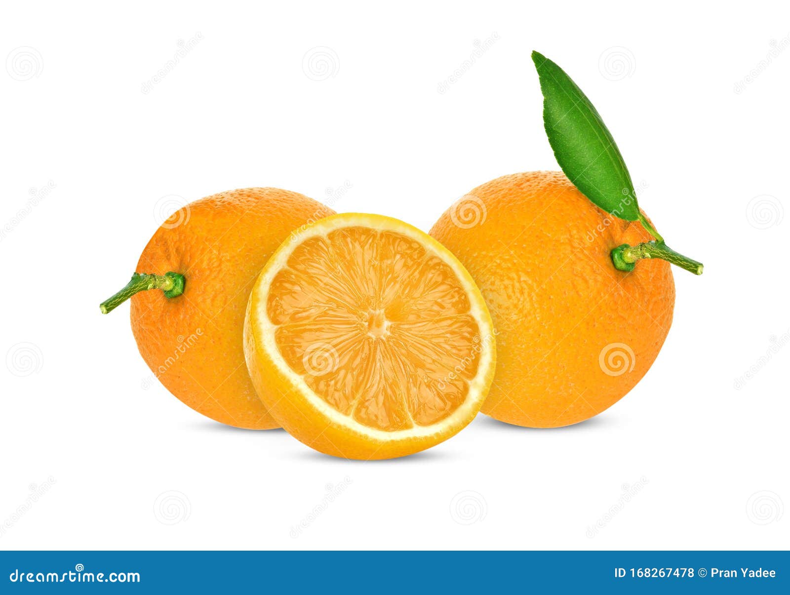 Orange on white background stock photo. Image of studio - 168267478
