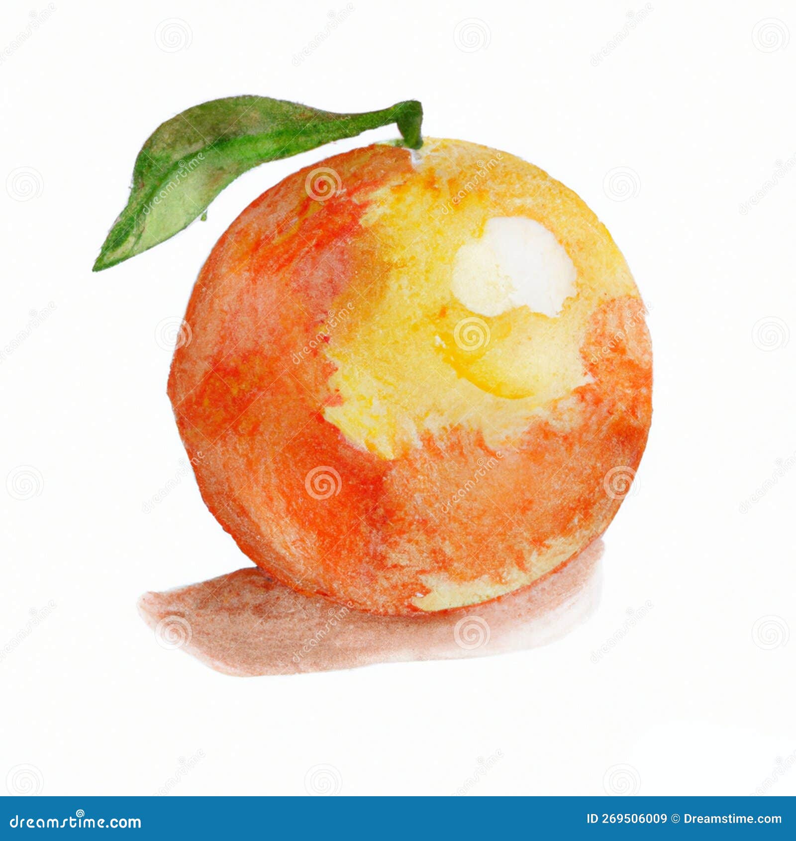 Orange on a White Background Drawing Watercolor Stock Illustration ...