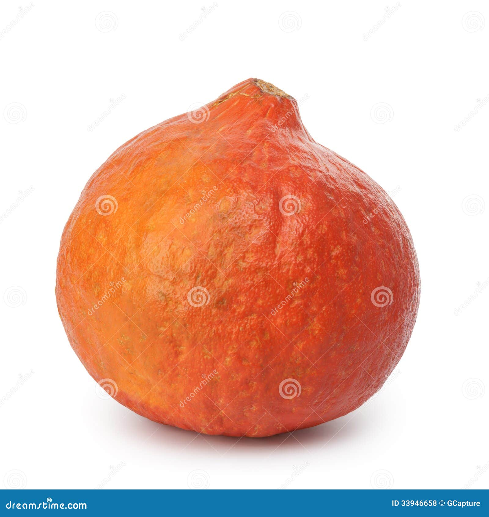 Orange whole bumpy pumpkin stock photo. Image of healthy - 33946658