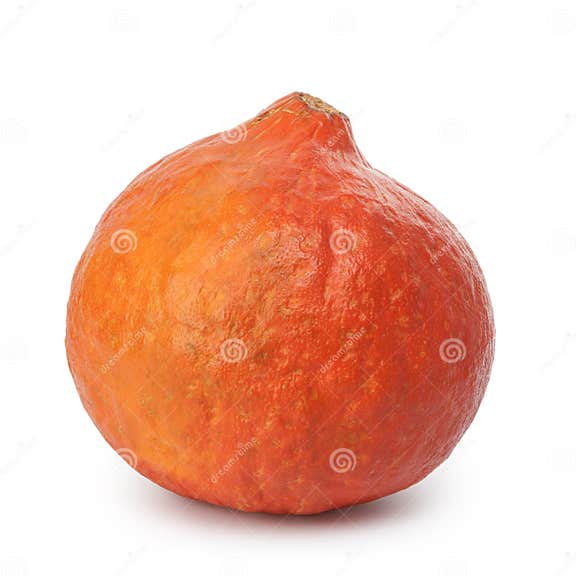 Orange whole bumpy pumpkin stock photo. Image of healthy - 33946658