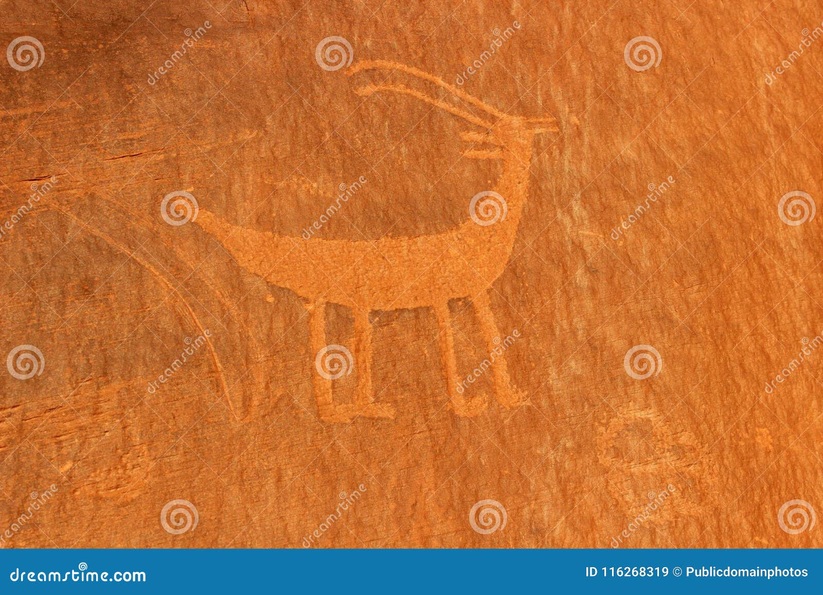 Orange, Wood, Wood Stain, Hardwood Picture. Image: 116268319