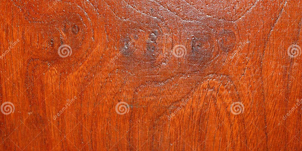 Orange Wood Texture stock image. Image of orange, tree - 10986739