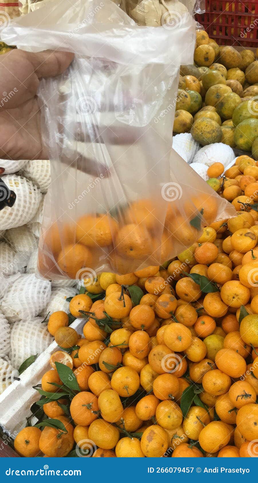 Orange wrap stock image. Image of wrap, oranges, orange - 266079457