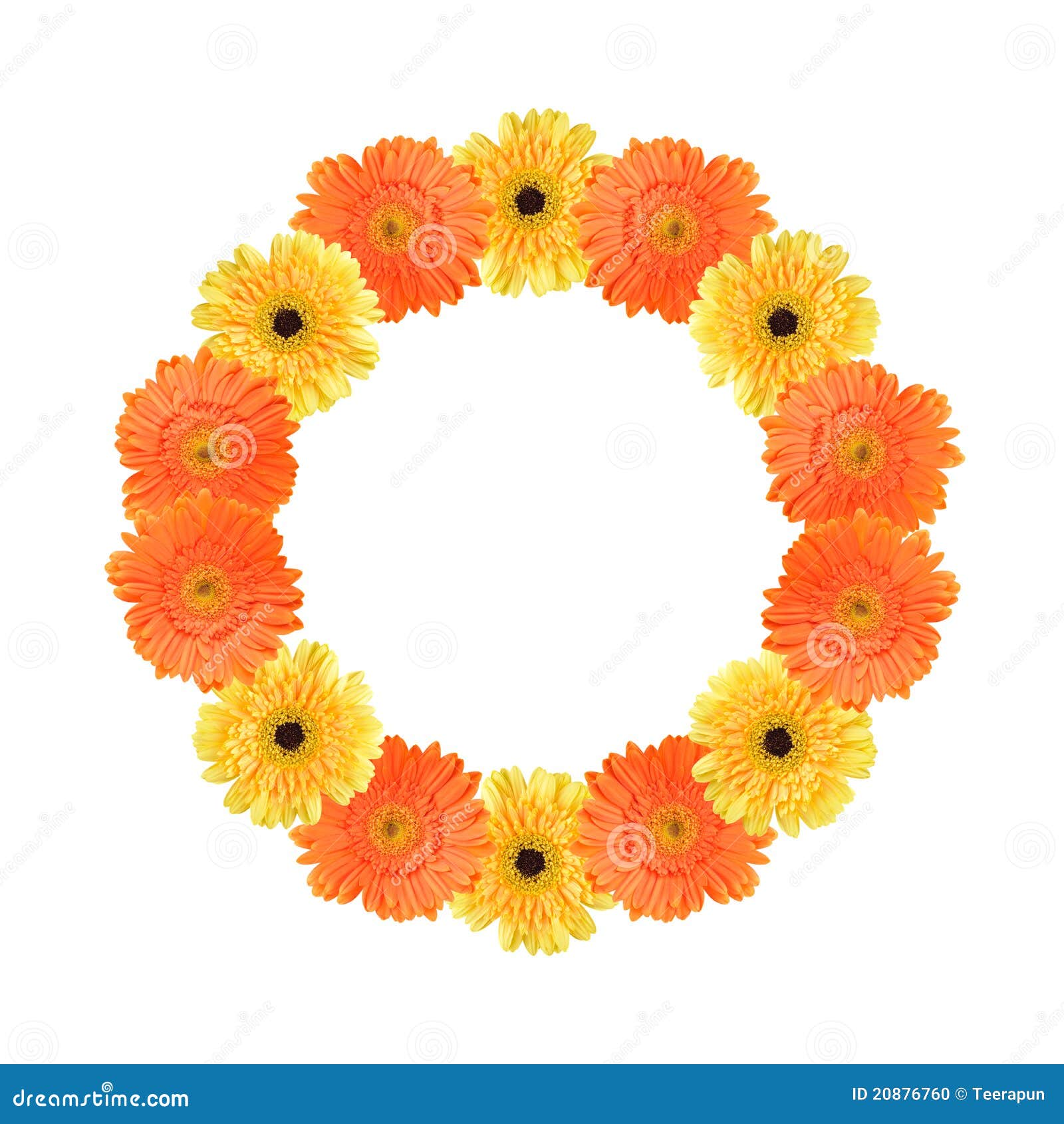 Orange And Yellow Daisy Circle Frame Stock Photo - Image: 20876760