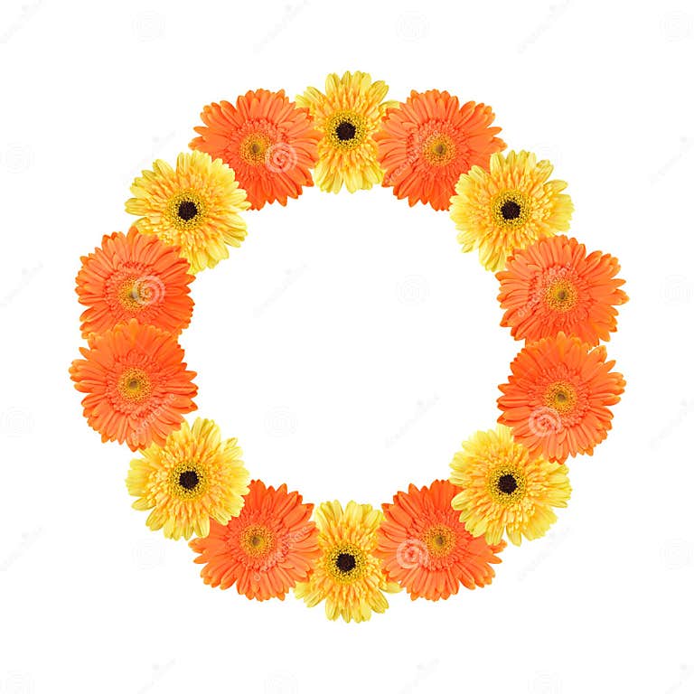 Orange and Yellow Daisy Circle Frame Stock Photo - Image of fresh ...