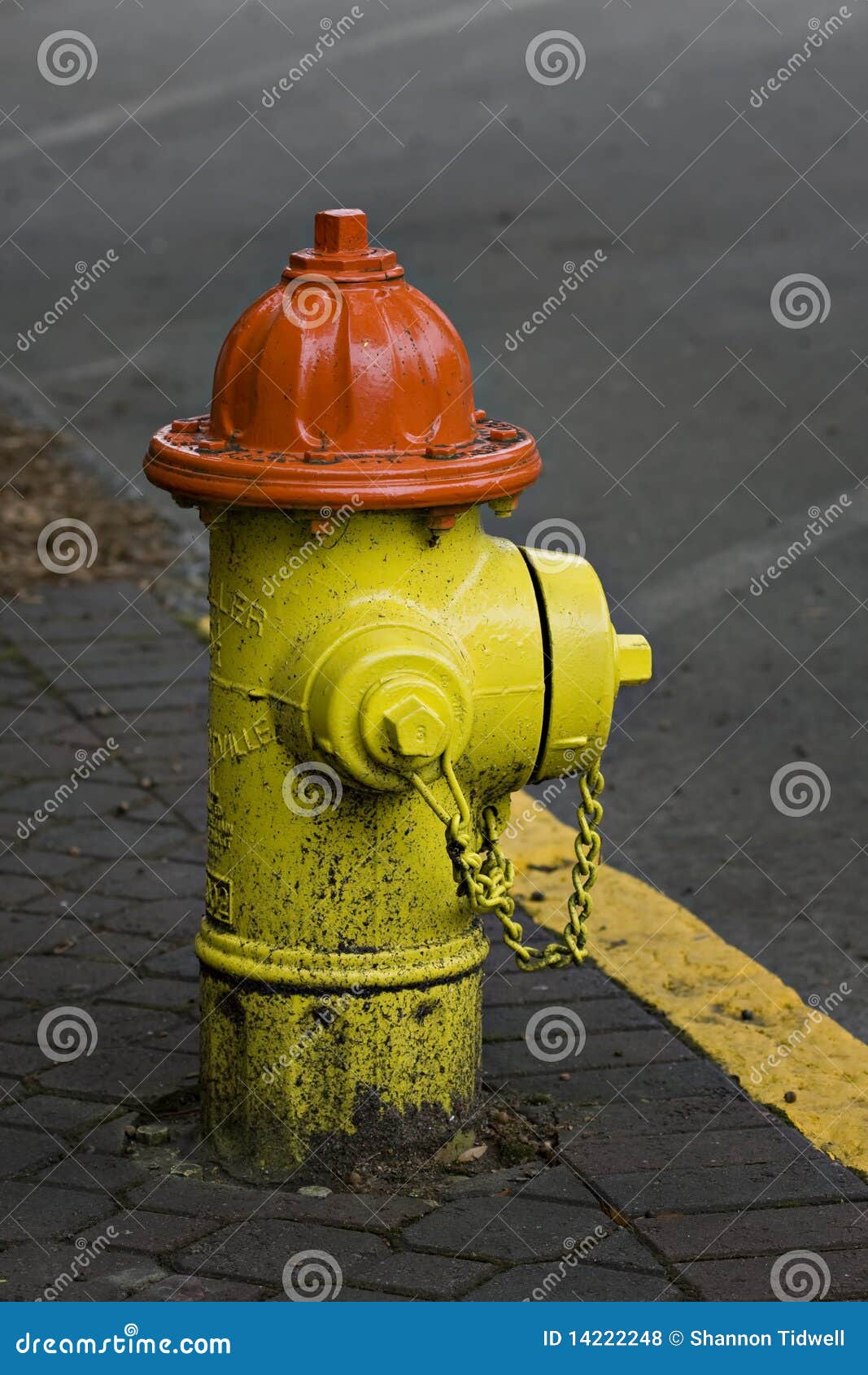 Yellow Fire Hydrant In Garden Stock Image | CartoonDealer.com #34705621
