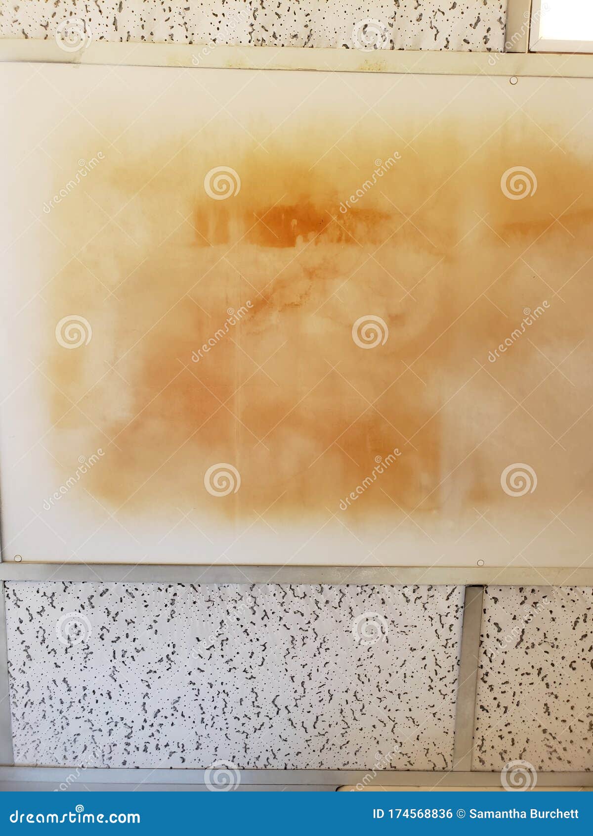 Orange and Yellow Rust on a White Ceiling Board Stock Photo - Image of ...