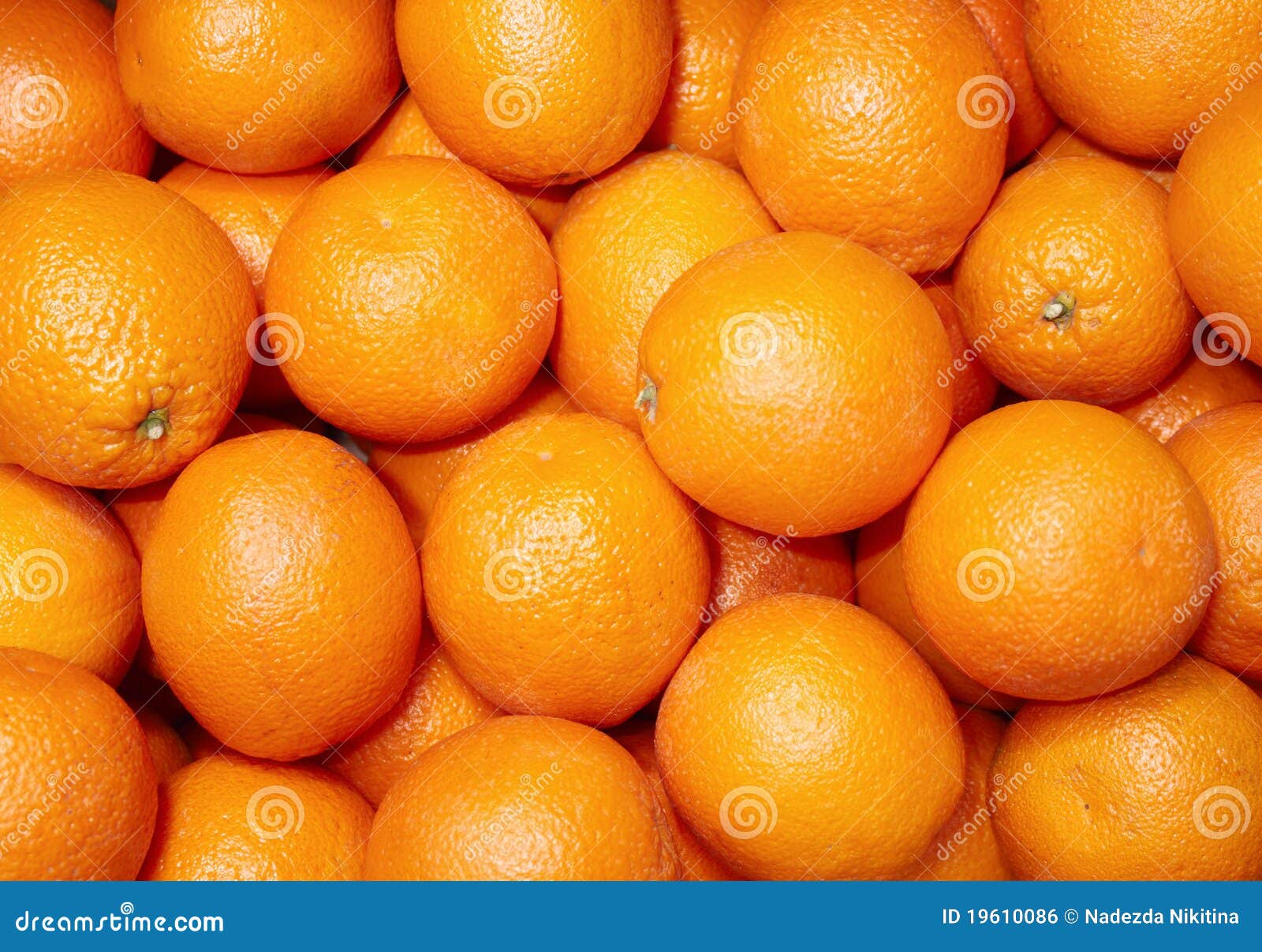 Orangen stockfoto. Bild von nahrung, halb, frech, landwirt - 19610086