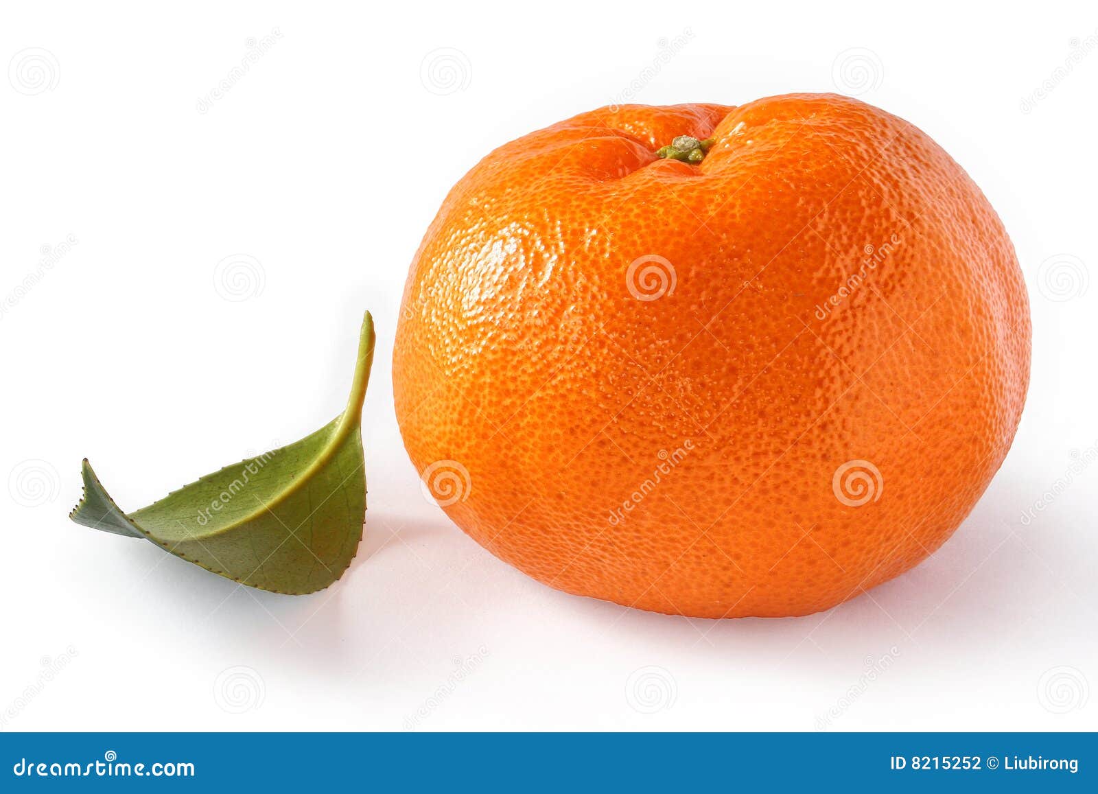 Orangen stockfoto. Bild von frucht, nahrung, früchte, grün - 8215252