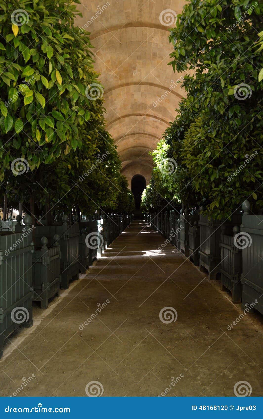 Orangery at Versailles editorial image. Image of gardening - 48168120