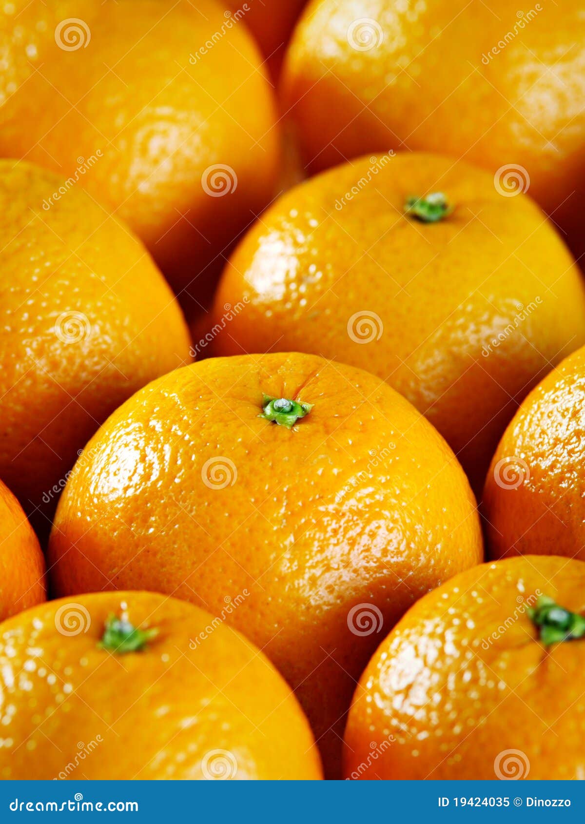 Oranges stock image. Image of backgrounds, freshness - 19424035