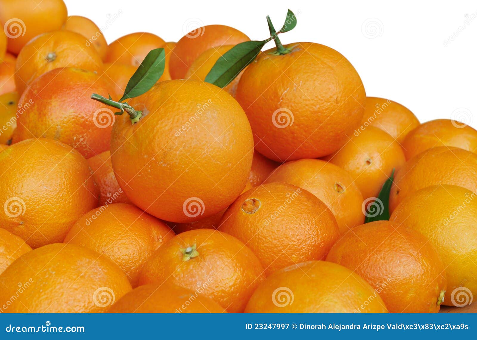 Two Oranges Royalty-Free Stock Image | CartoonDealer.com #85346554