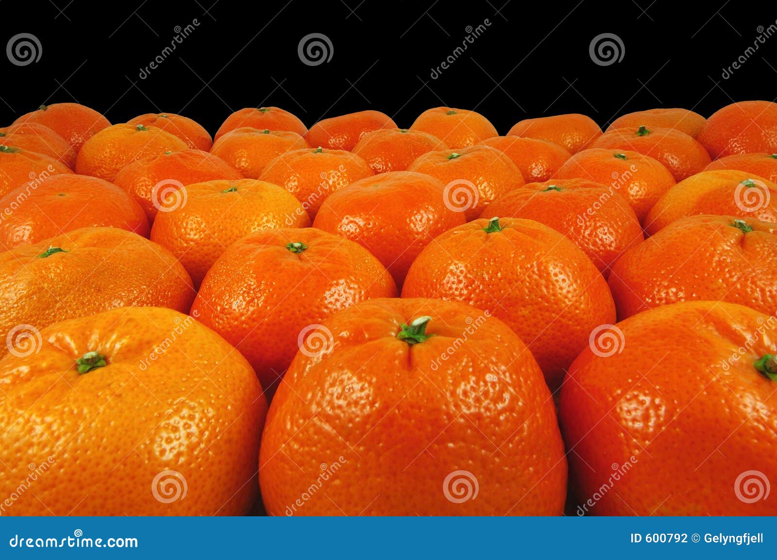 Oranges stock photo. Image of tangerines, yellow, peel - 600792