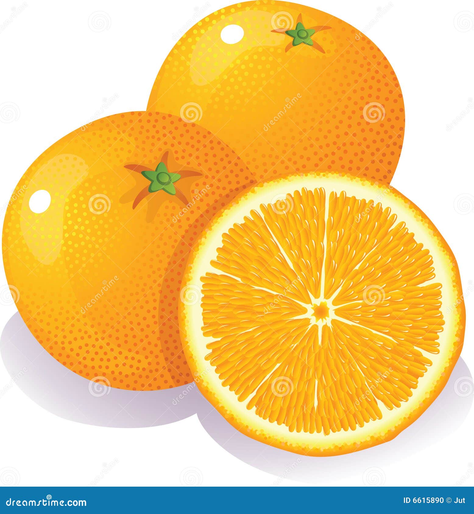 Oranges stock vector. Illustration of eating, color, orange - 6615890