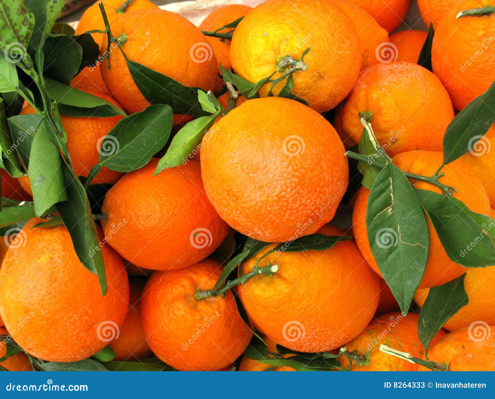Oranges stock image. Image of asian, agriculture, fresh - 8264333