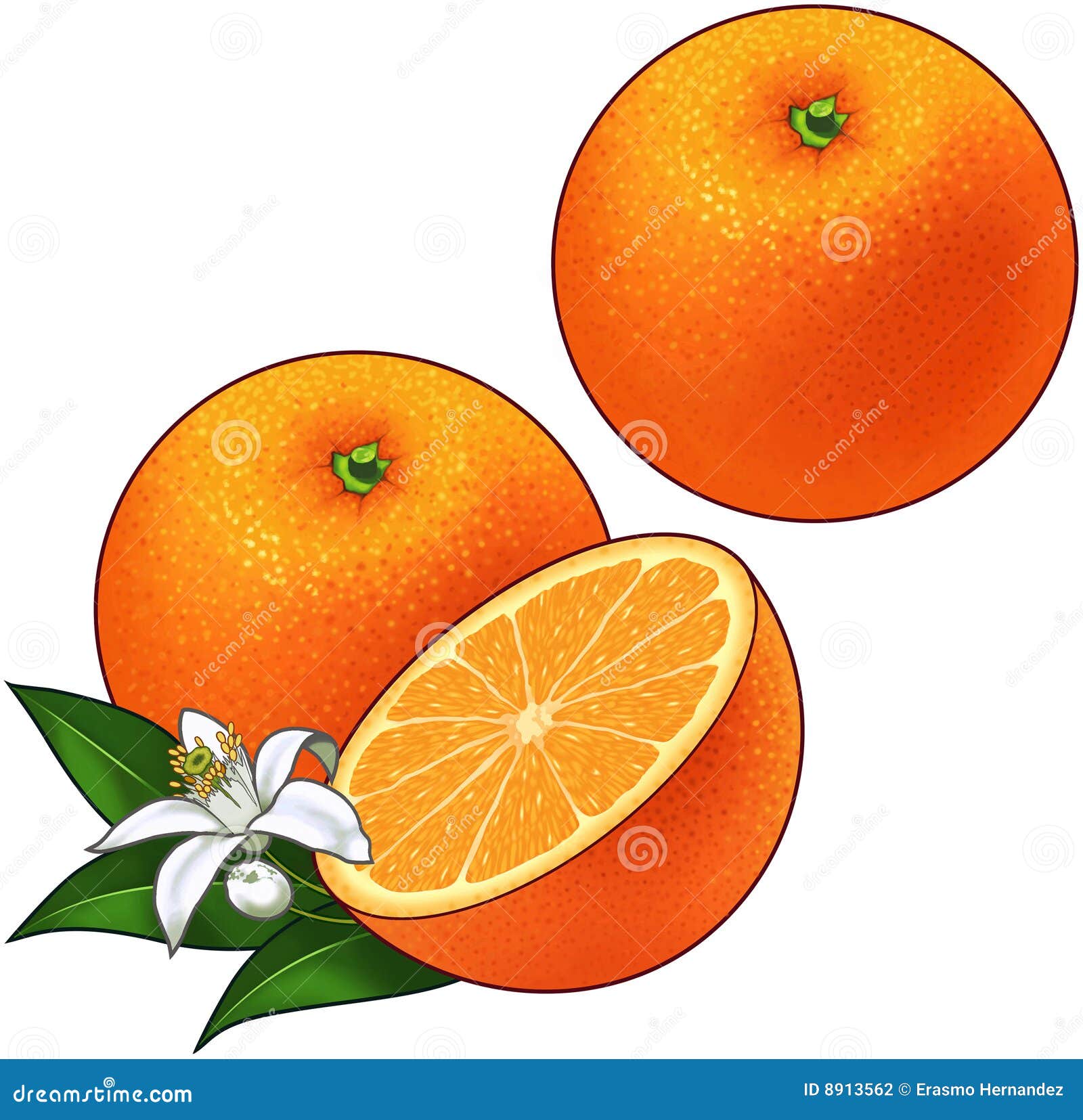 Oranges Cartoons, Illustrations & Vector Stock Images - 217612 Pictures ...