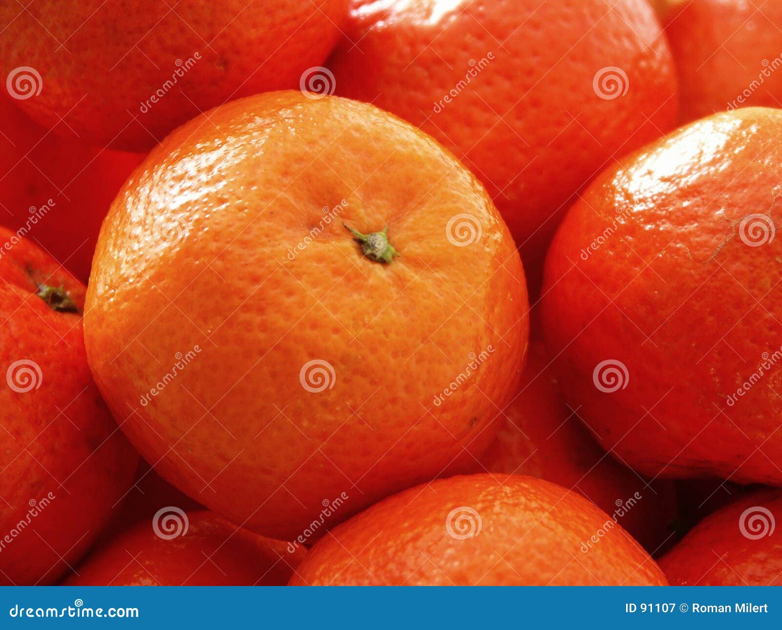 Oranges stock image. Image of ripe, still, fruit, plants - 91107