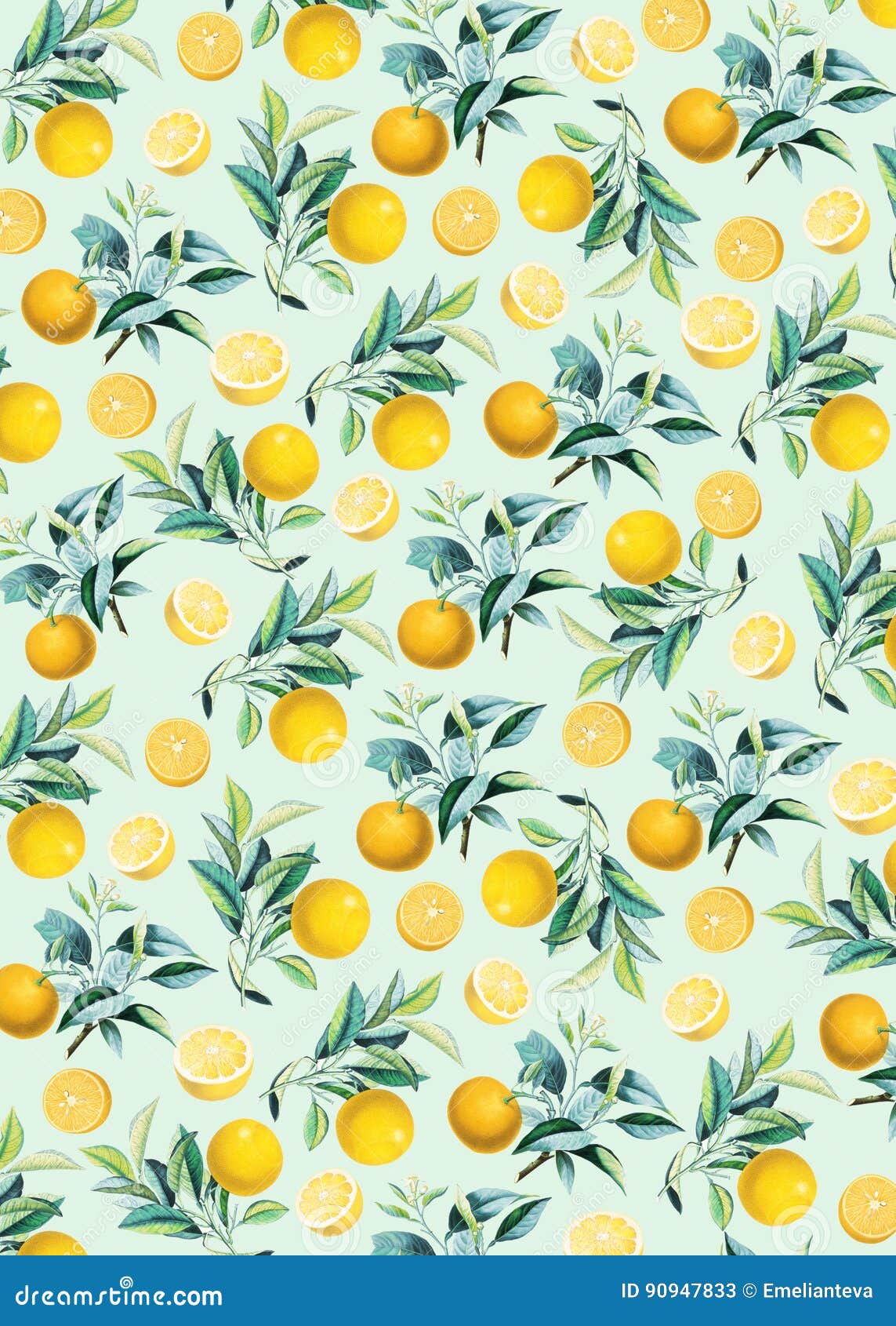 Vintage Botanical Illustration Oranges Stock Illustrations – 361 ...