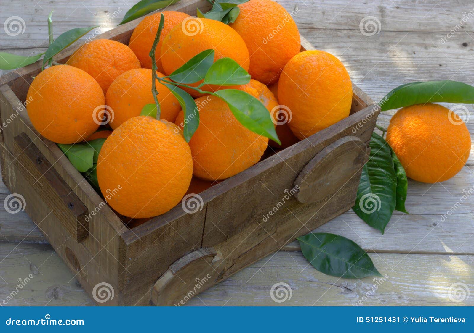 Oranges in the box. stock image. Image of sweet, green - 51251431