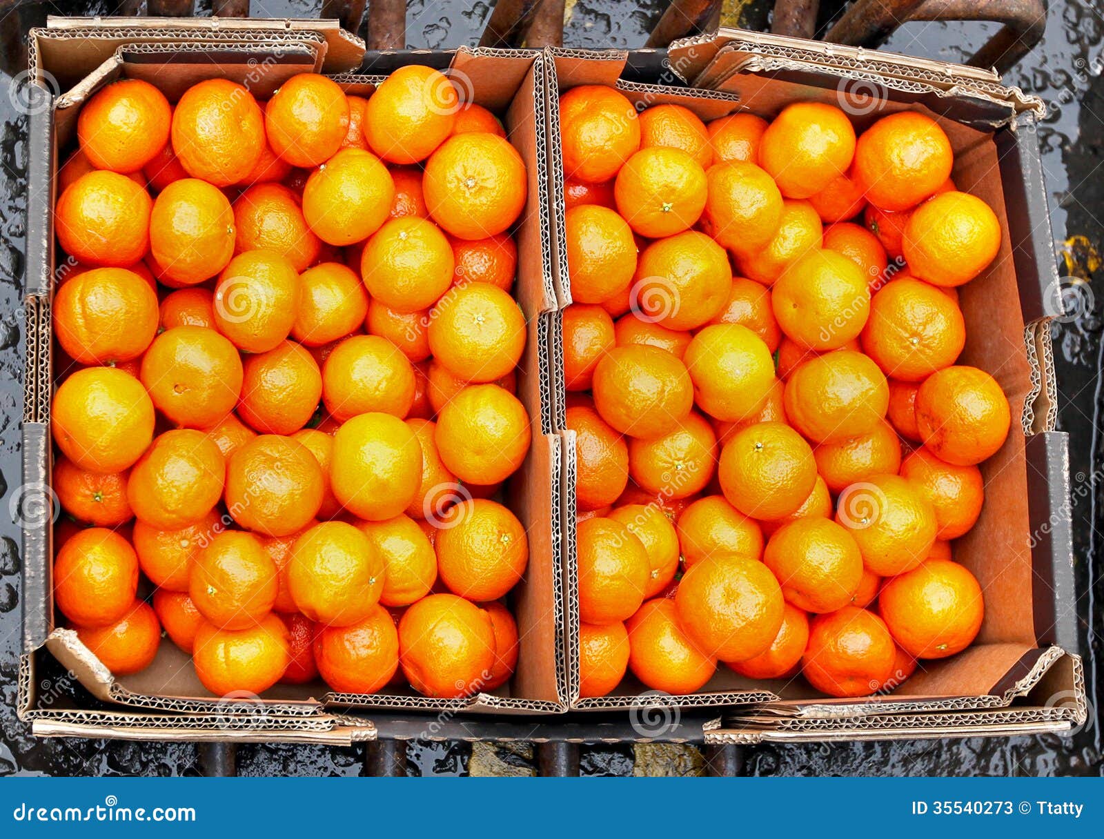 Oranges boxes stock image. Image of fresh, food, organic - 35540273