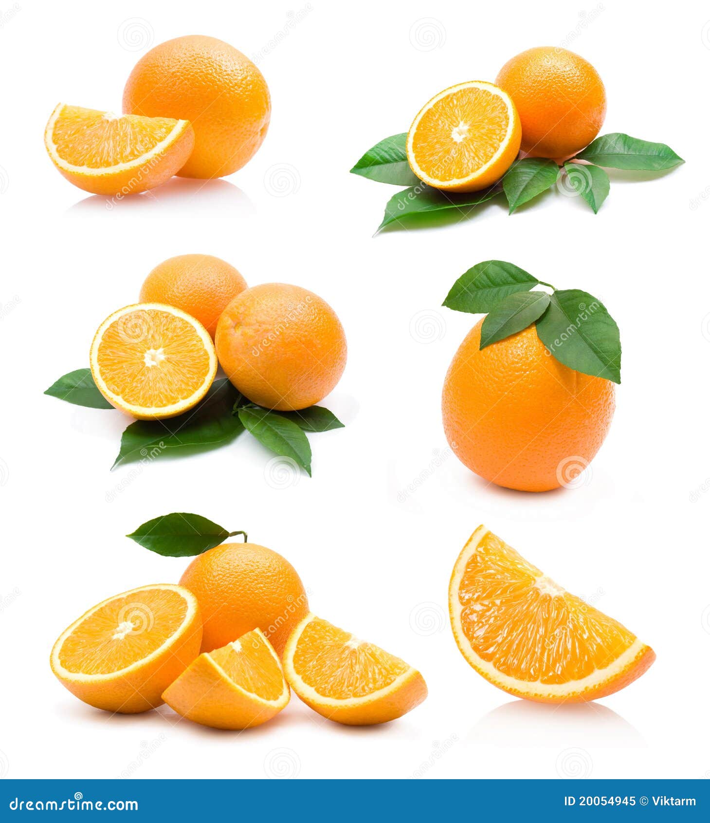Oranges collection stock image. Image of slice, green - 20054945