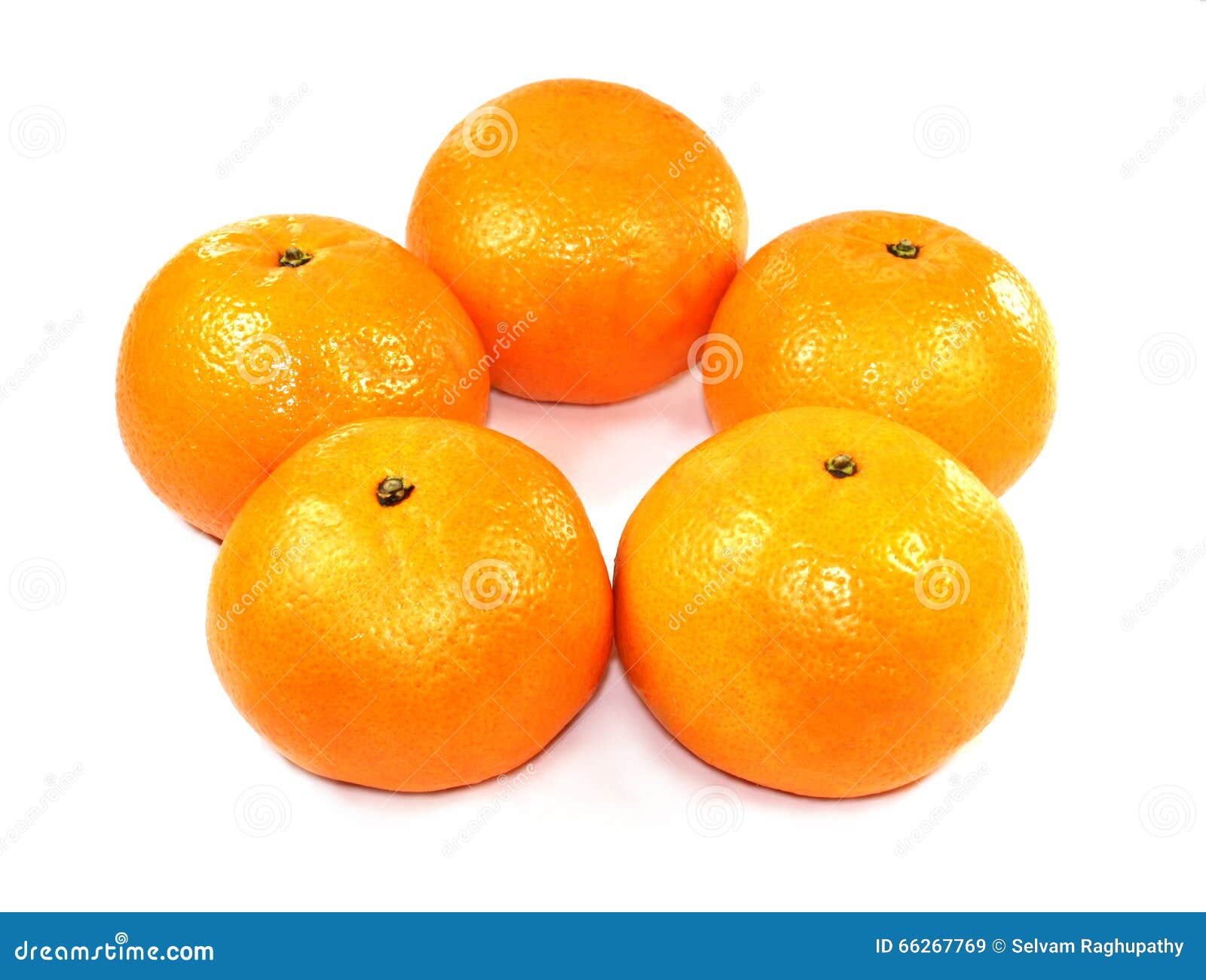 Oranges stock image. Image of eating, natural, farmers - 66267769