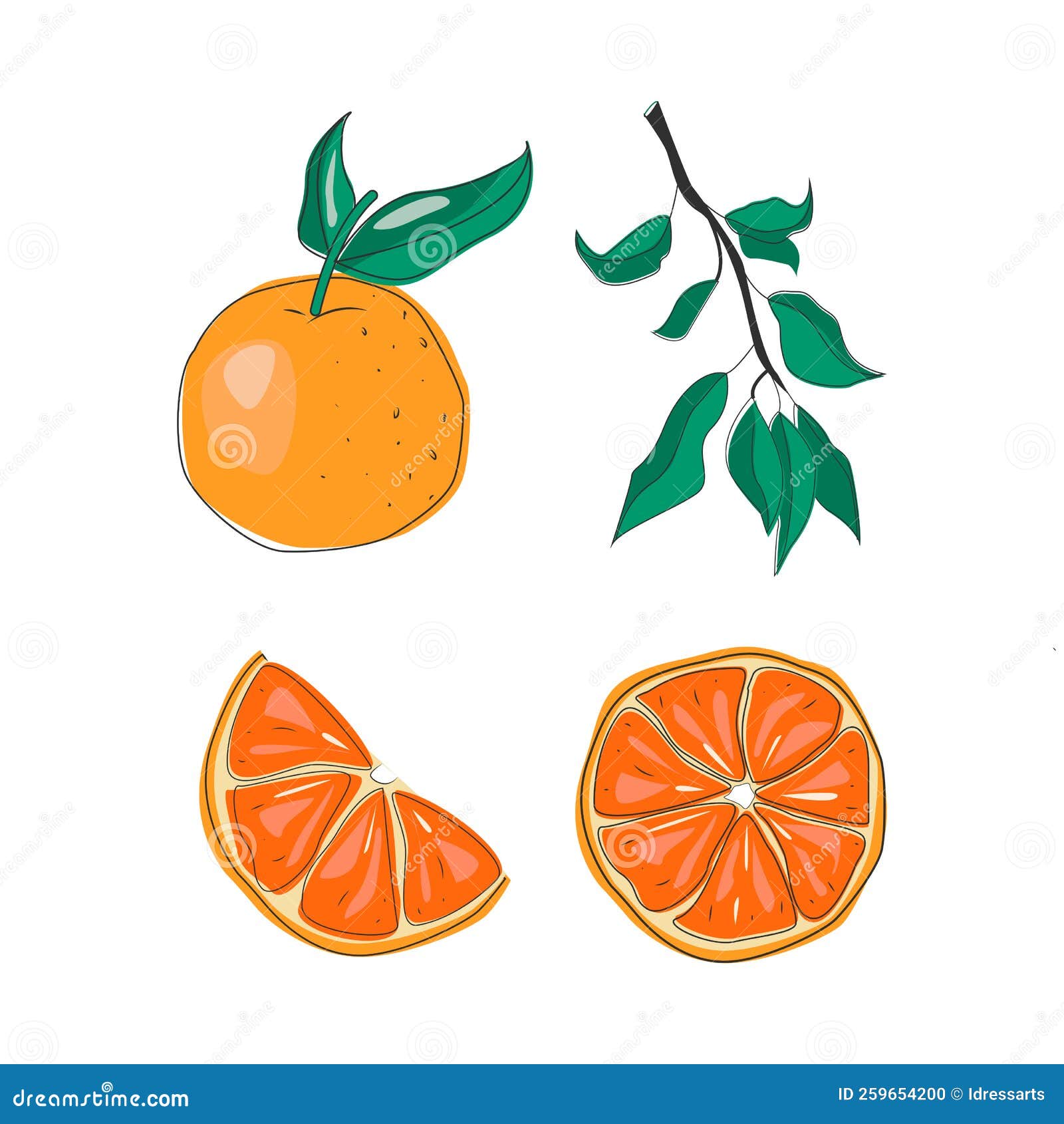 Oranges fruit vector stock vector. Illustration of freshness - 259654200