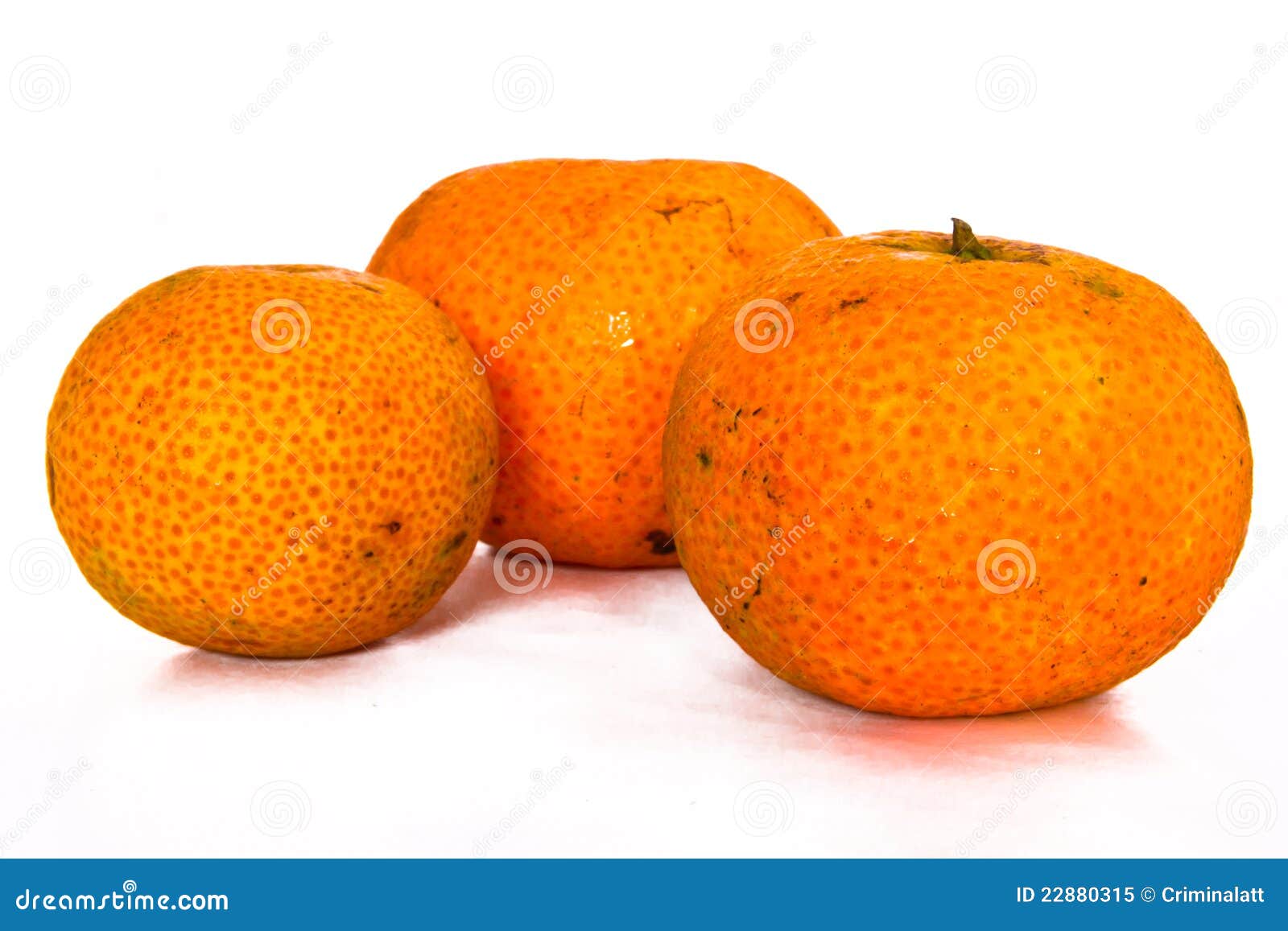 Oranges in group isolated stock image. Image of health - 22880315