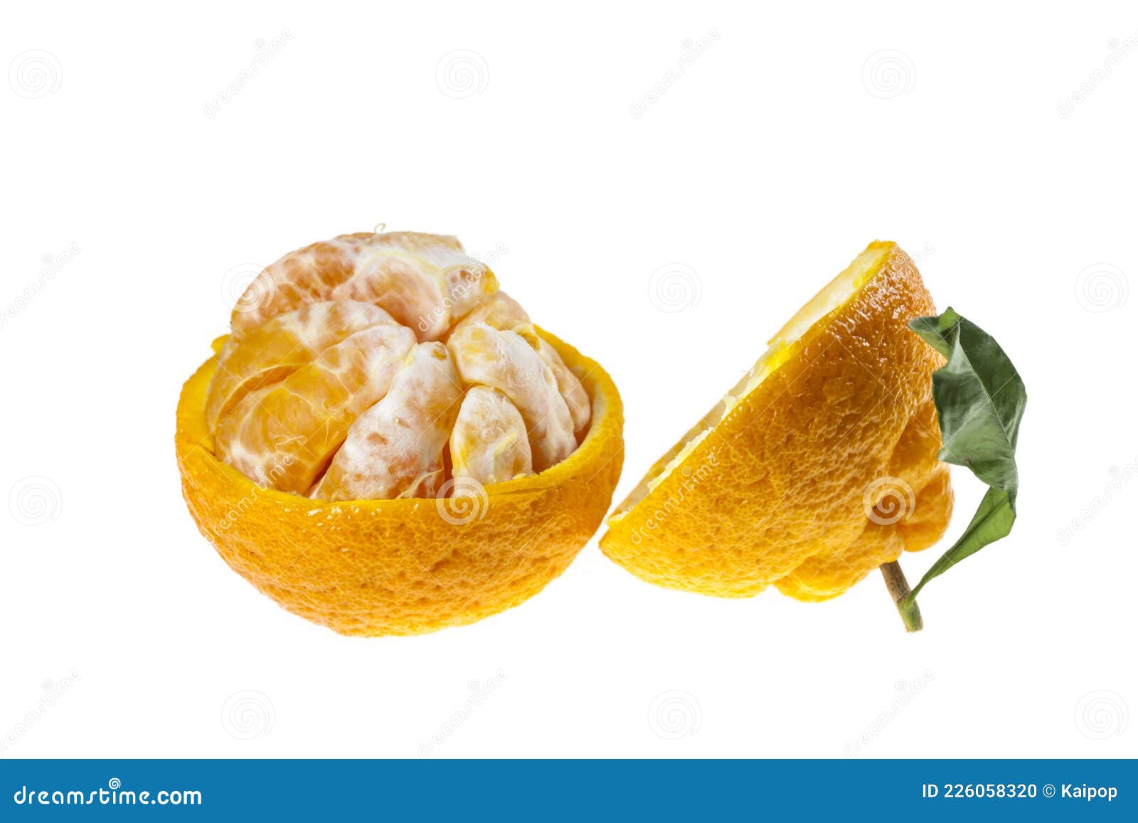 Oranges Jeju Island, South Korea Stock Photo - Image of tour, mandarin ...