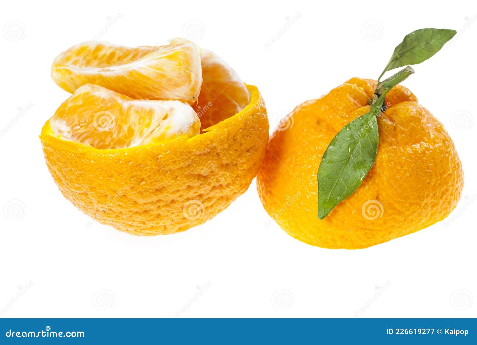 Oranges Jeju Island, South Korea Stock Image - Image of ripe, hallabong ...