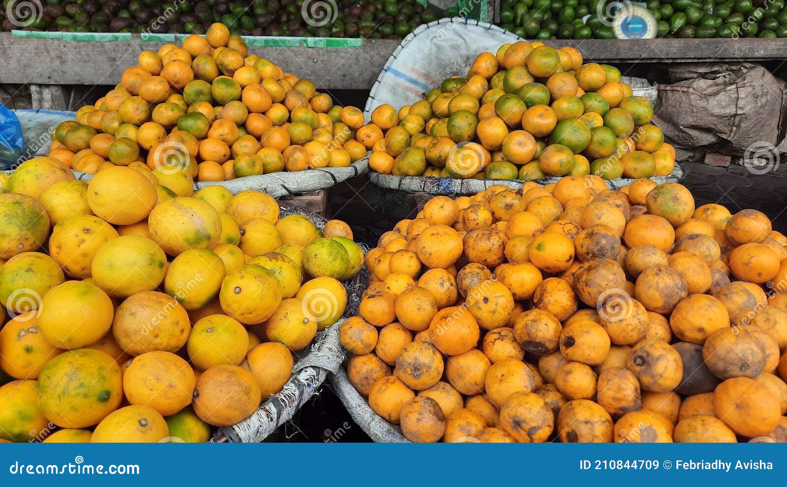 Oranges are Local Fruit from Indonesia Editorial Stock Image - Image of ...