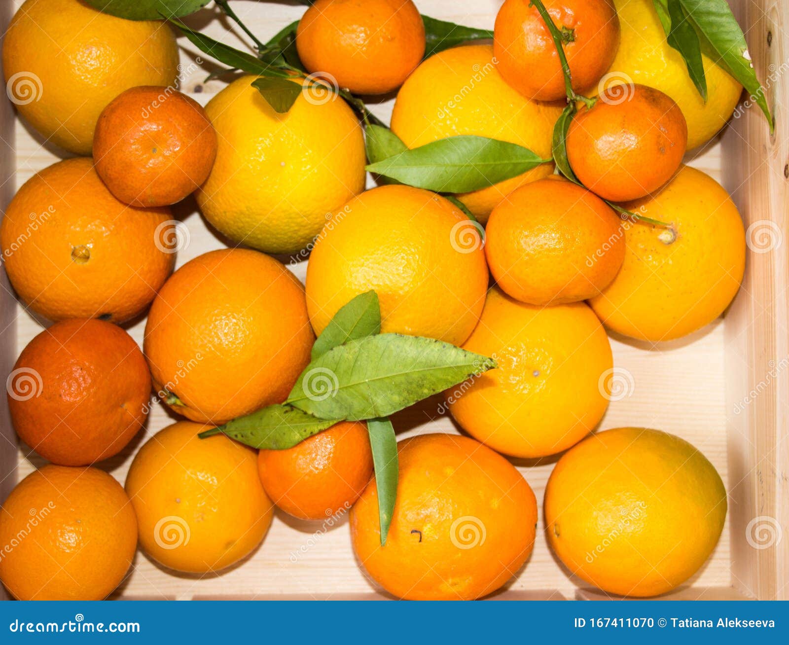 Oranges and Mandarin Inside of Wooden Box Stock Photo - Image of ...